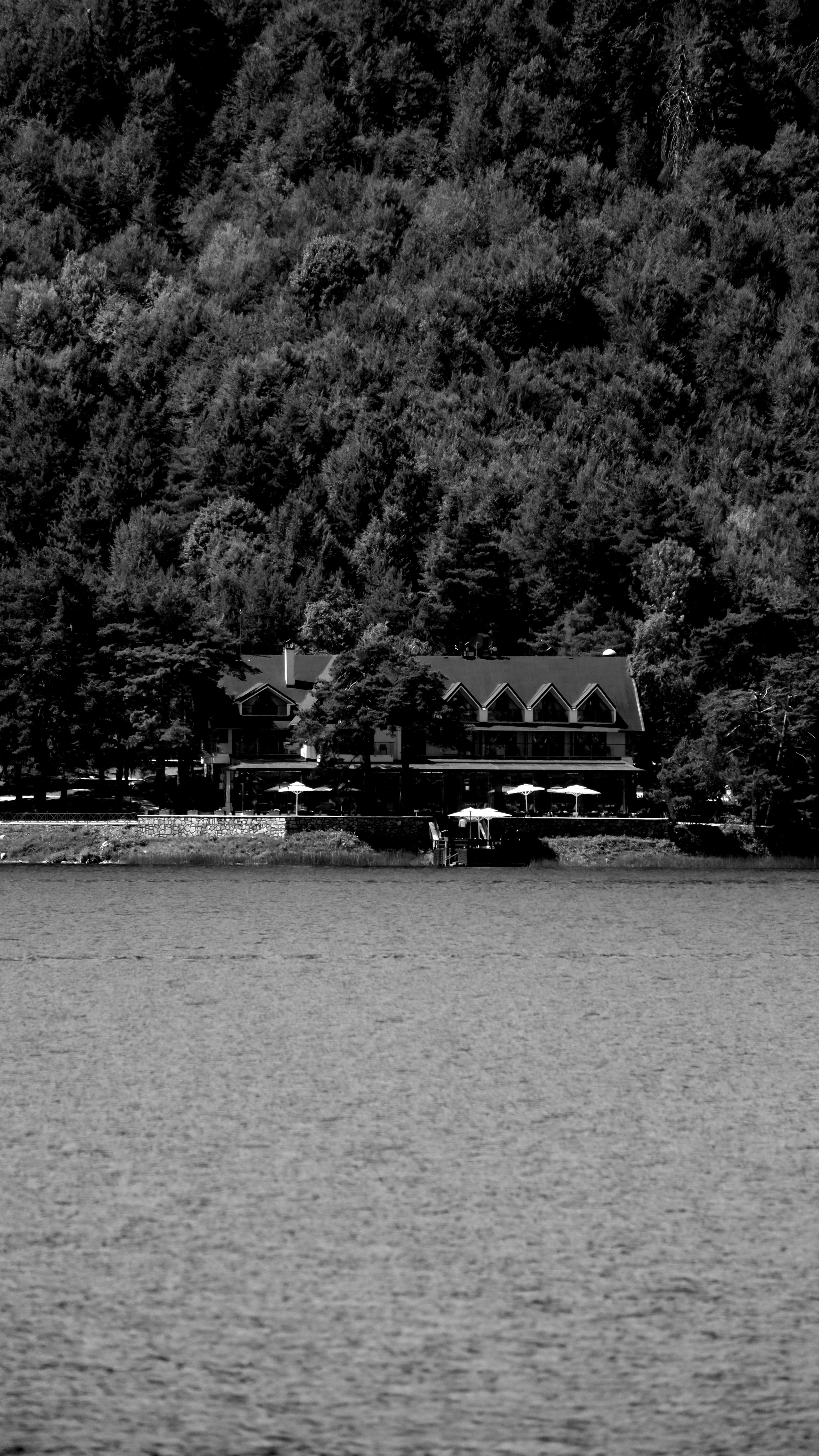 Bolu Türkiye Scenic Lakeside Forest · Free Stock Photo