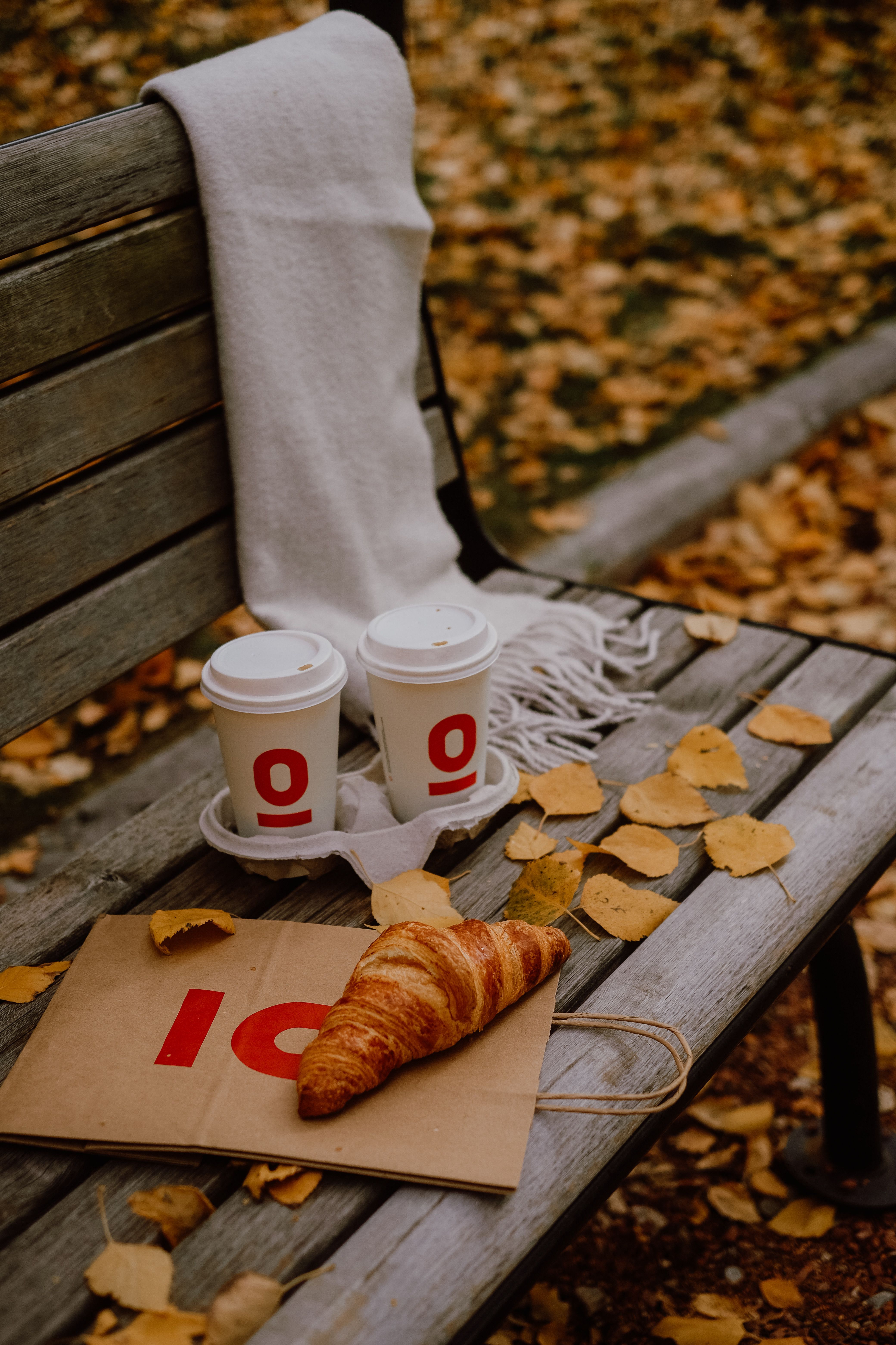 Autumn Morning Coffee Photos, Download The BEST Free Autumn Morning ...