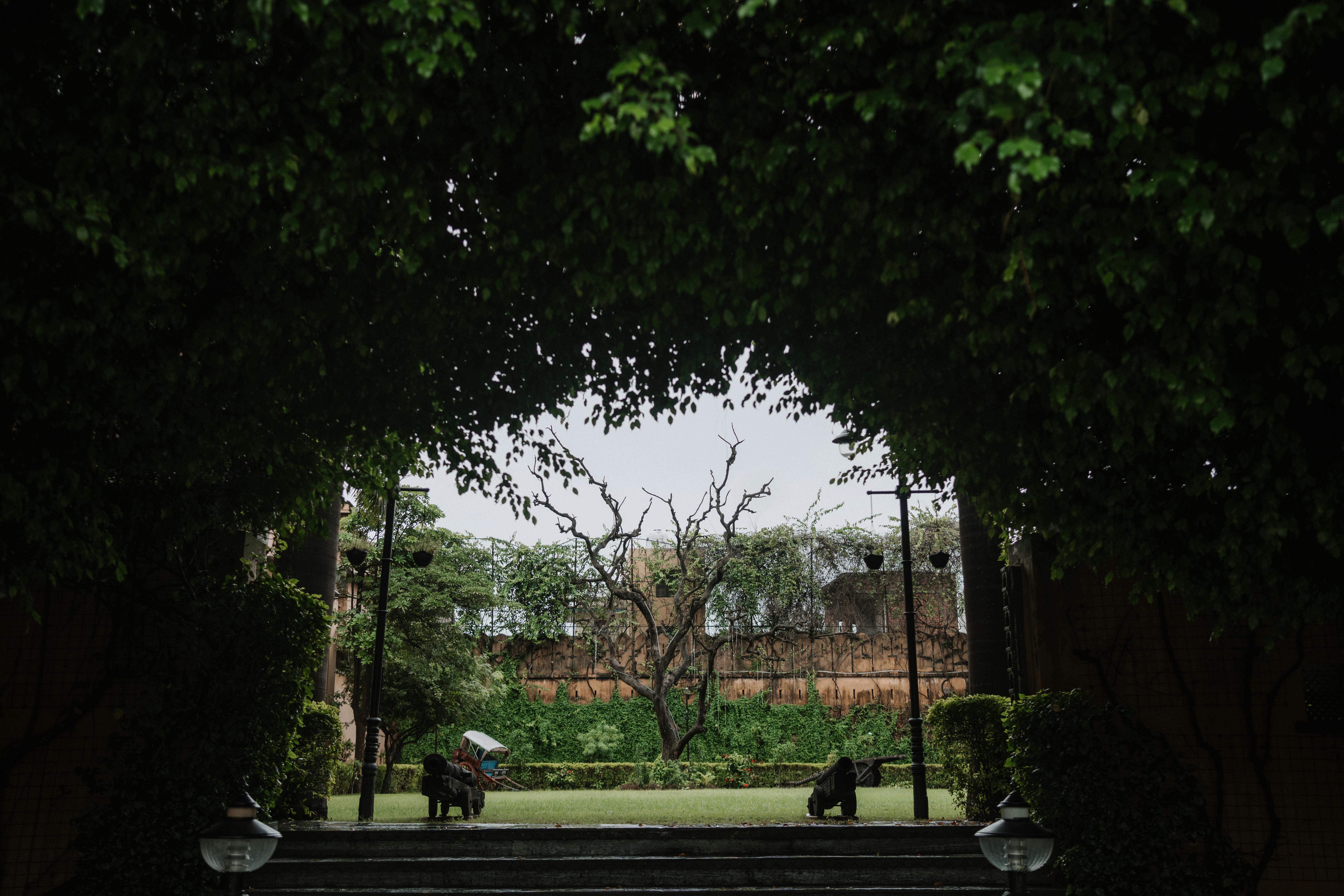 Outdoor Garden View Photos, Download The BEST Free Outdoor Garden View ...