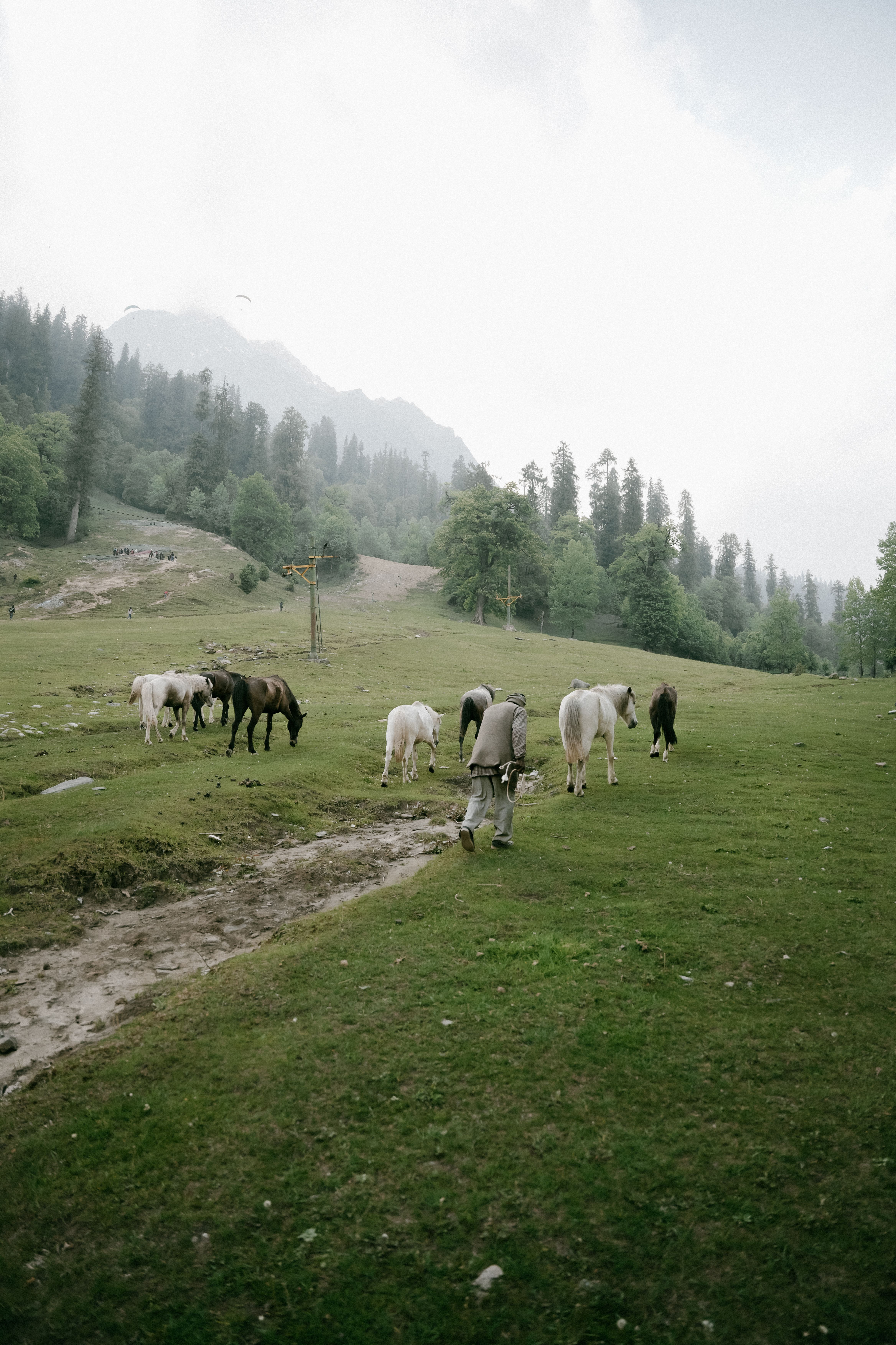 Man Valley Photos, Download The BEST Free Man Valley Stock Photos & HD ...