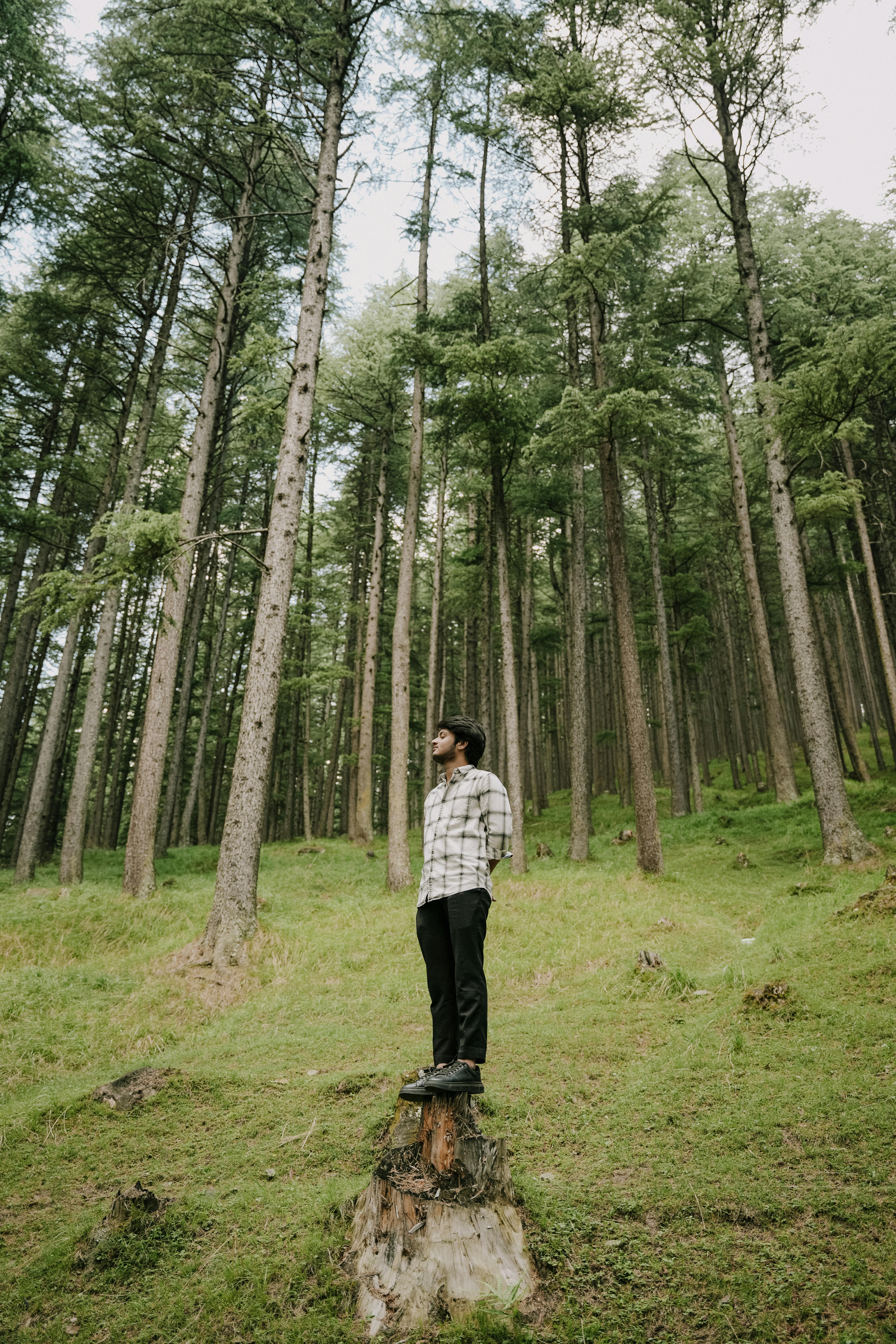 Shoes Pine Photos, Download The BEST Free Shoes Pine Stock Photos & HD ...