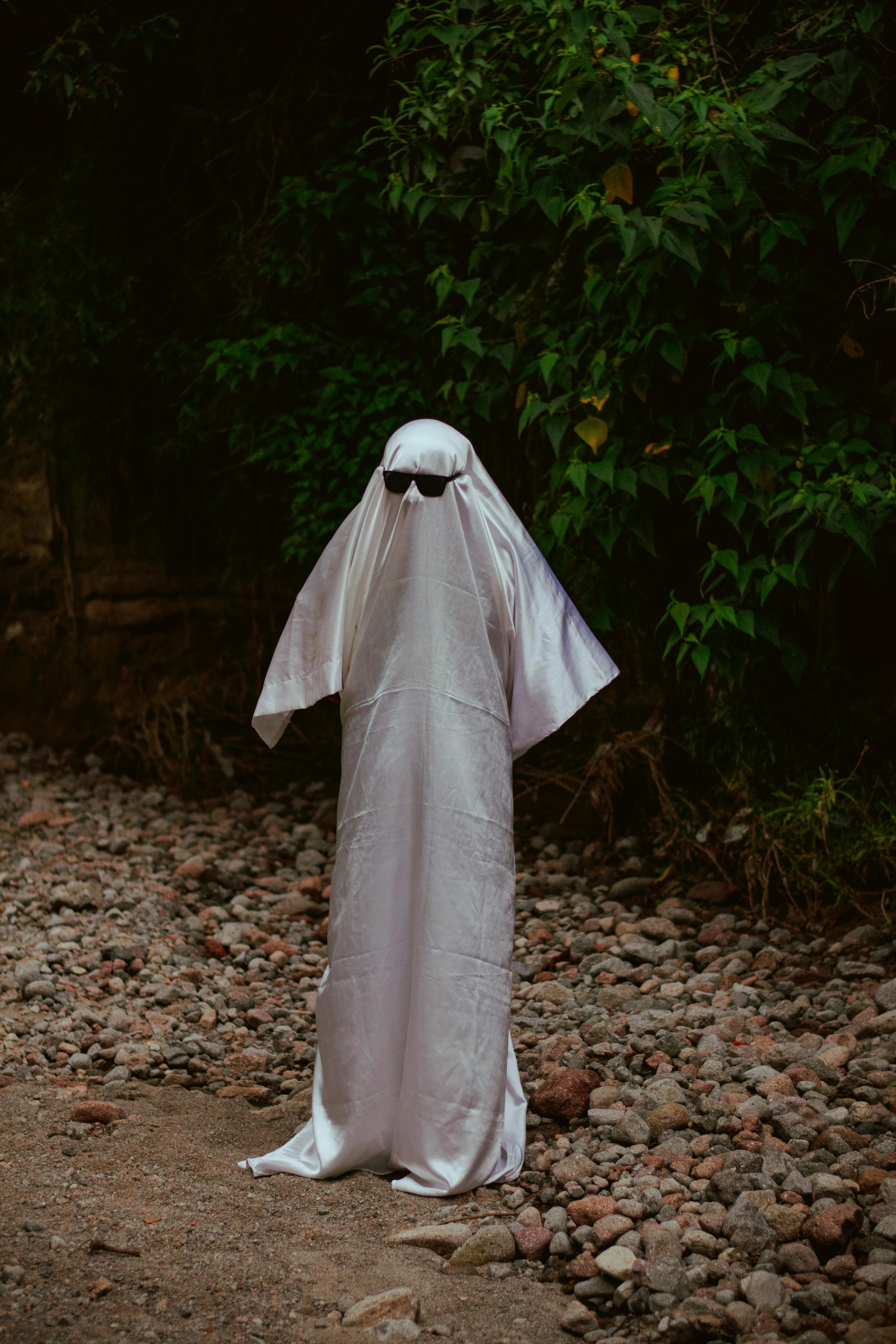 Mysterious Ghost Costume in a Forest Setting · Free Stock Photo