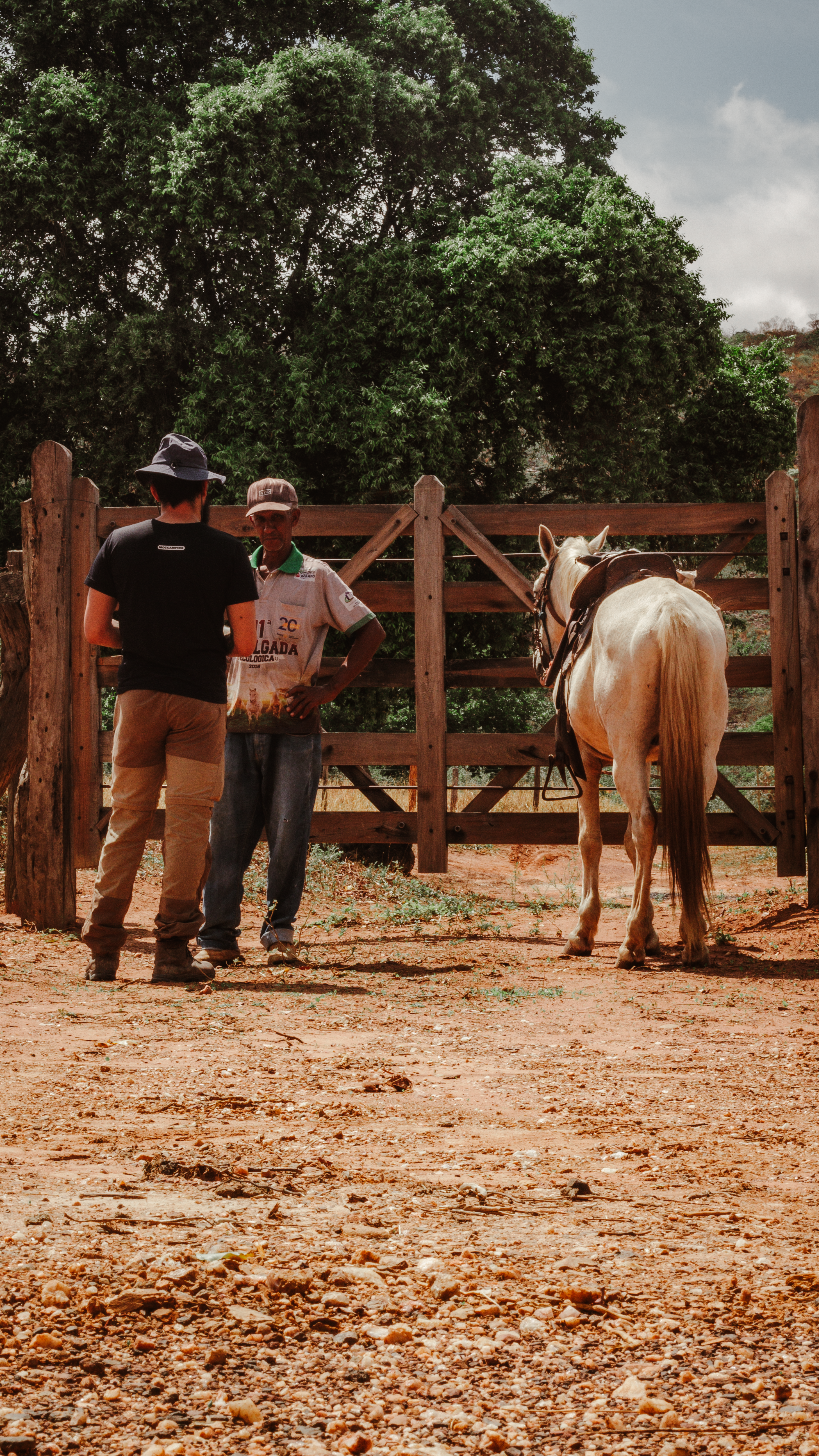 Two men and a horse in rural setting · Free Stock Photo
