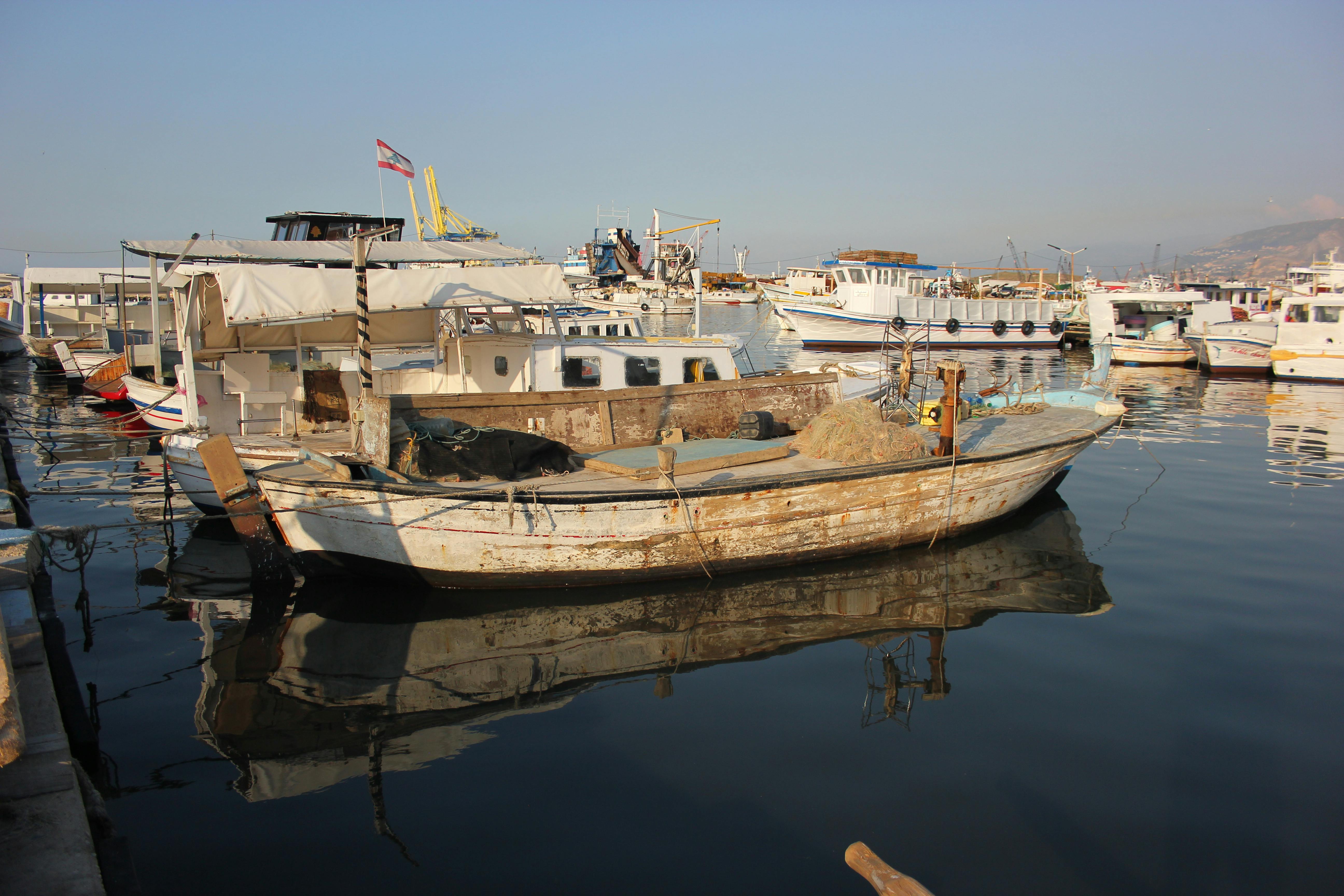 Lebanese Harbor Photos, Download The BEST Free Lebanese Harbor Stock ...