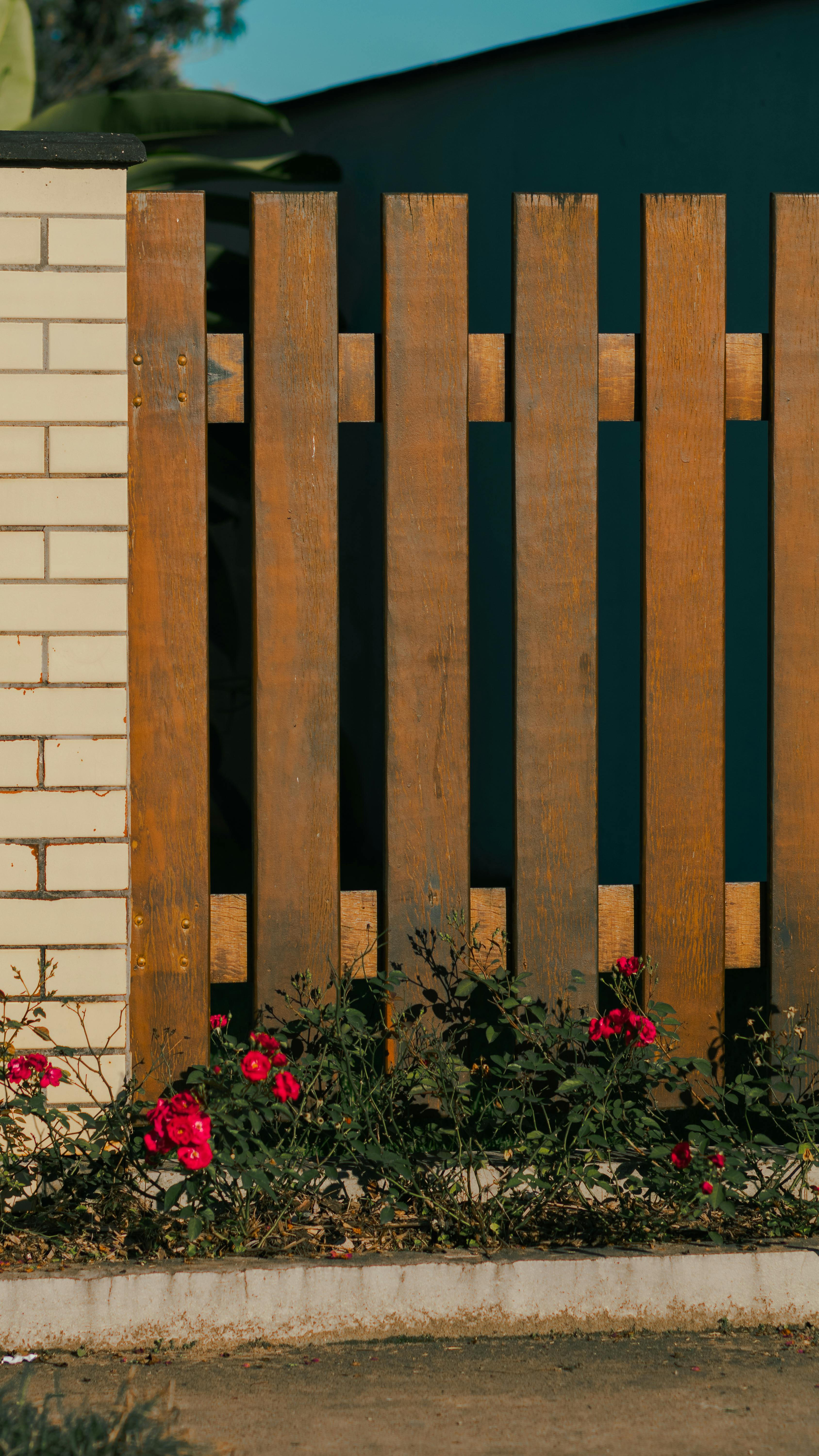 Pagar Kayu Dengan Mawar Merah Di Dinding Bata · Foto Stok Gratis