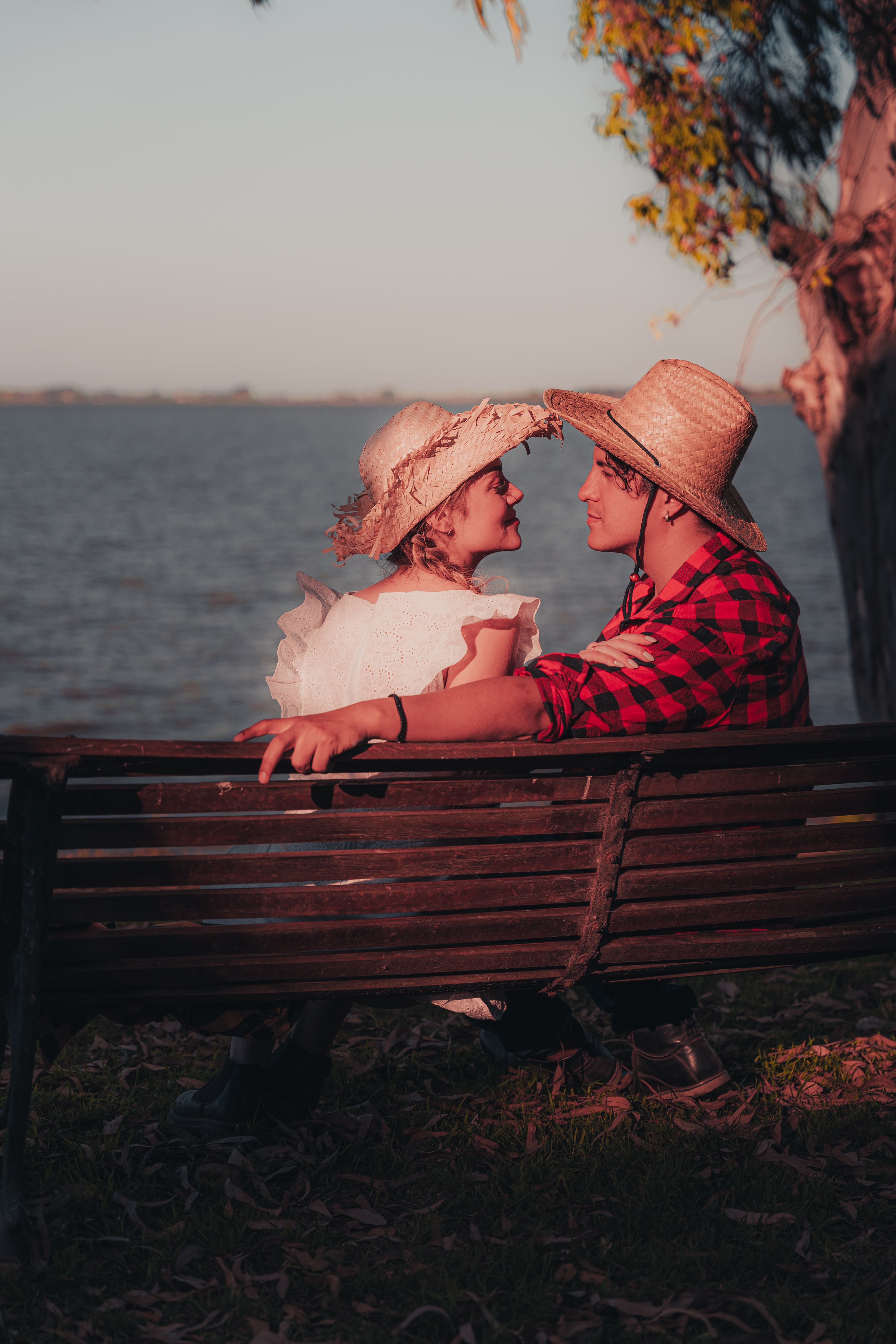 Gentle Photos, Download The BEST Free Gentle Stock Photos & HD Images