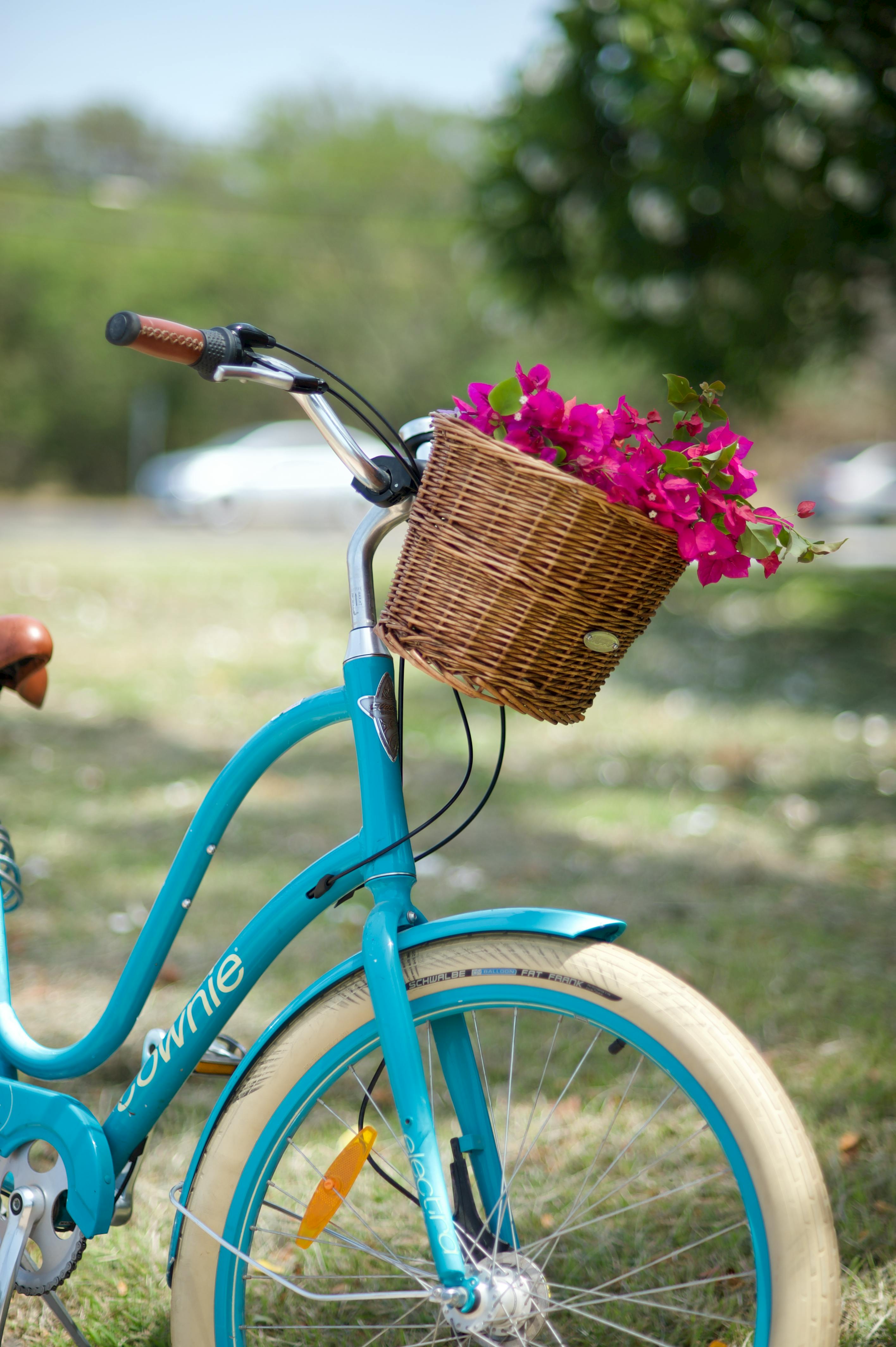 Colorful Bicycle with Flower Basket in Honolulu · Free Stock Photo