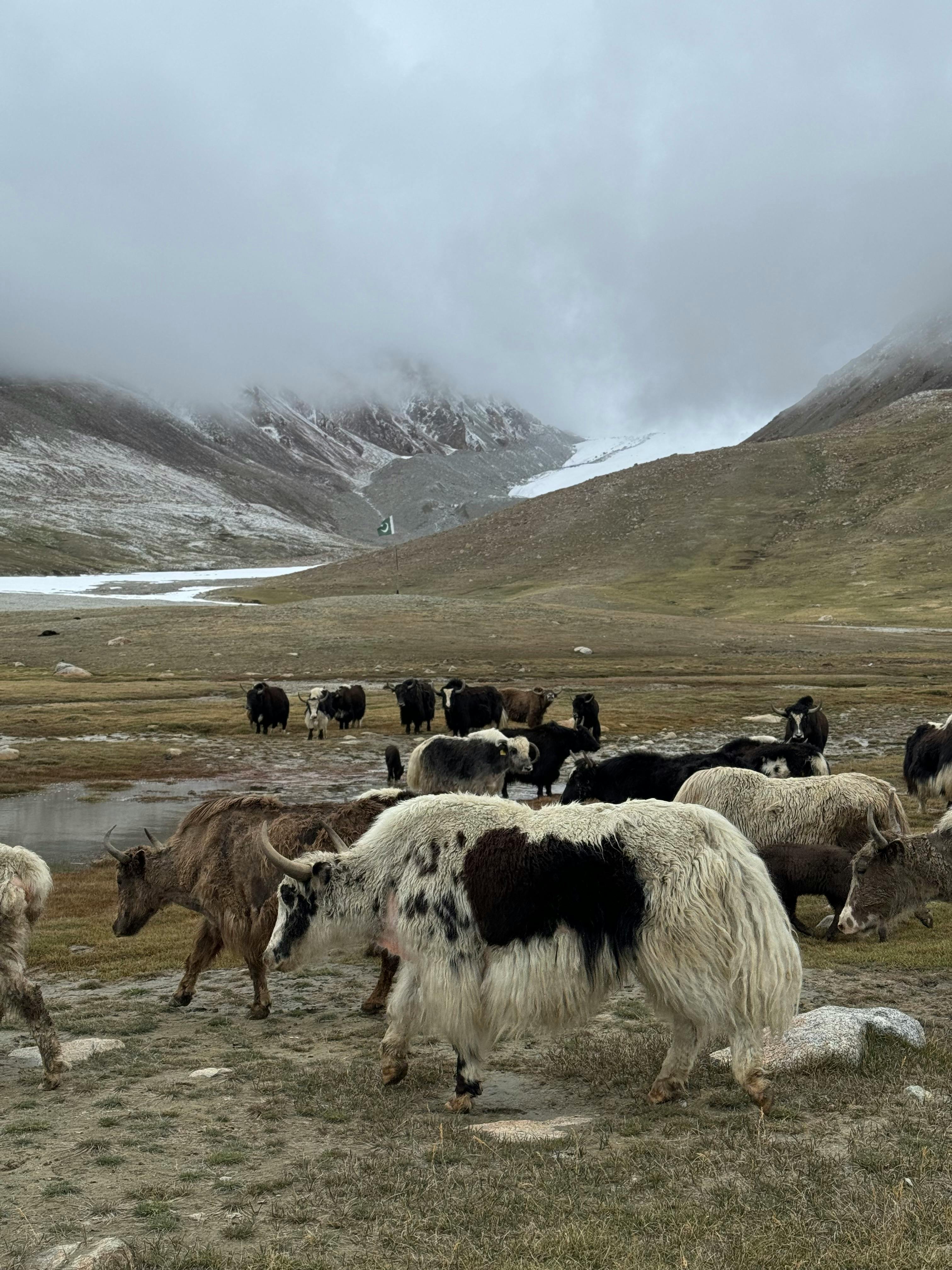 Jahanzaib Khan - Photography