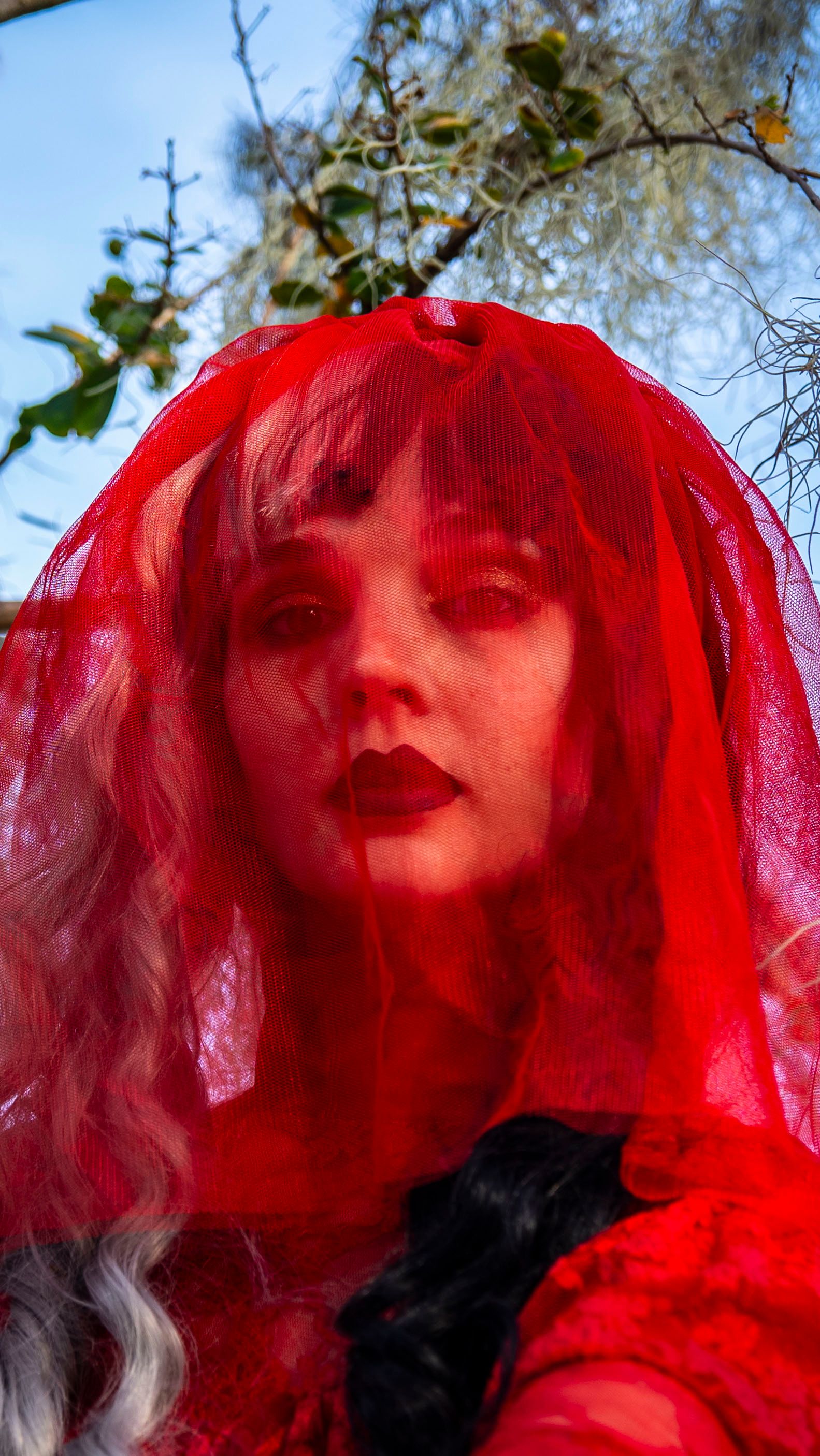 Woman with Red Veil in Nature Portrait · Free Stock Photo