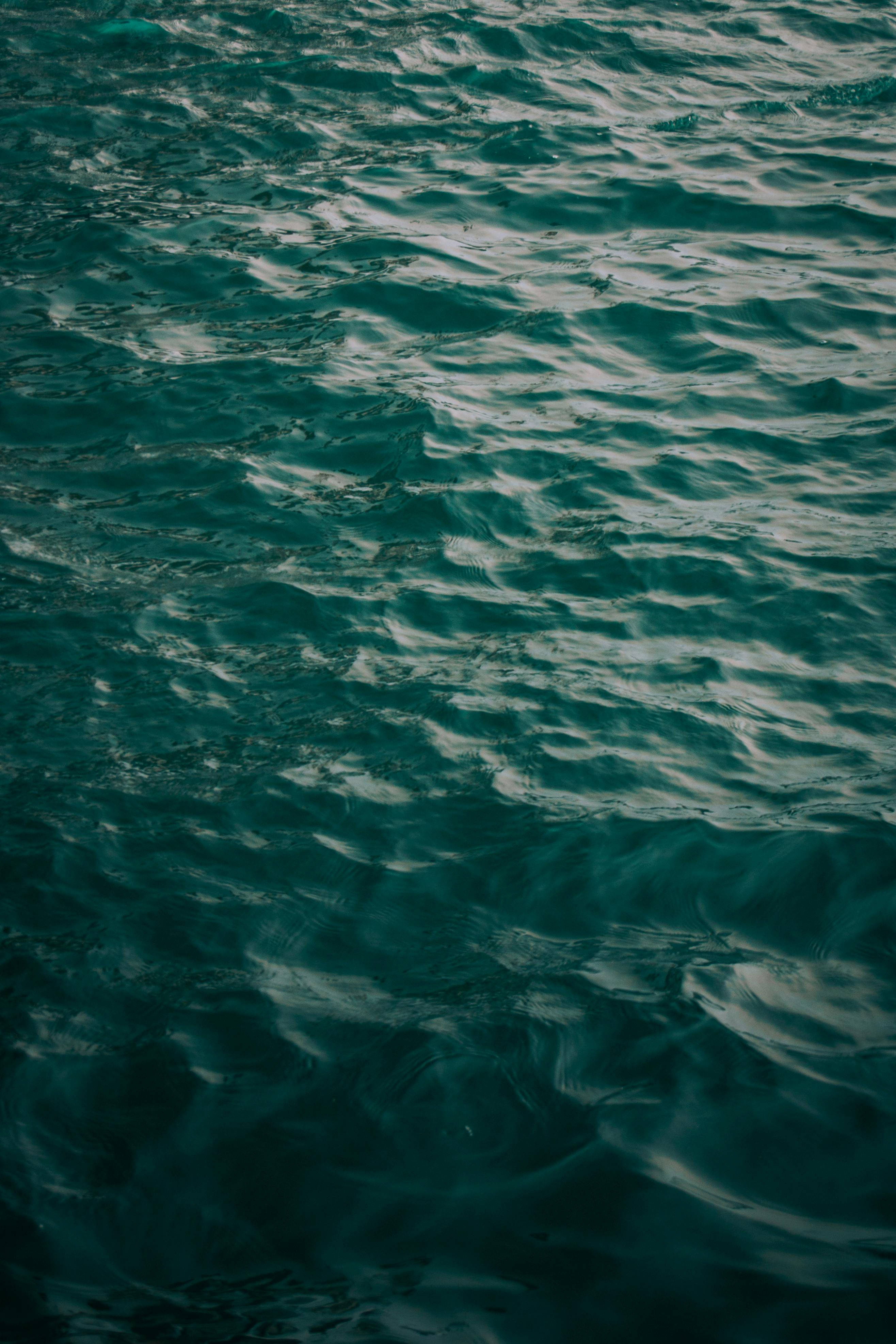 Floating Surface Photos, Download The BEST Free Floating Surface Stock ...