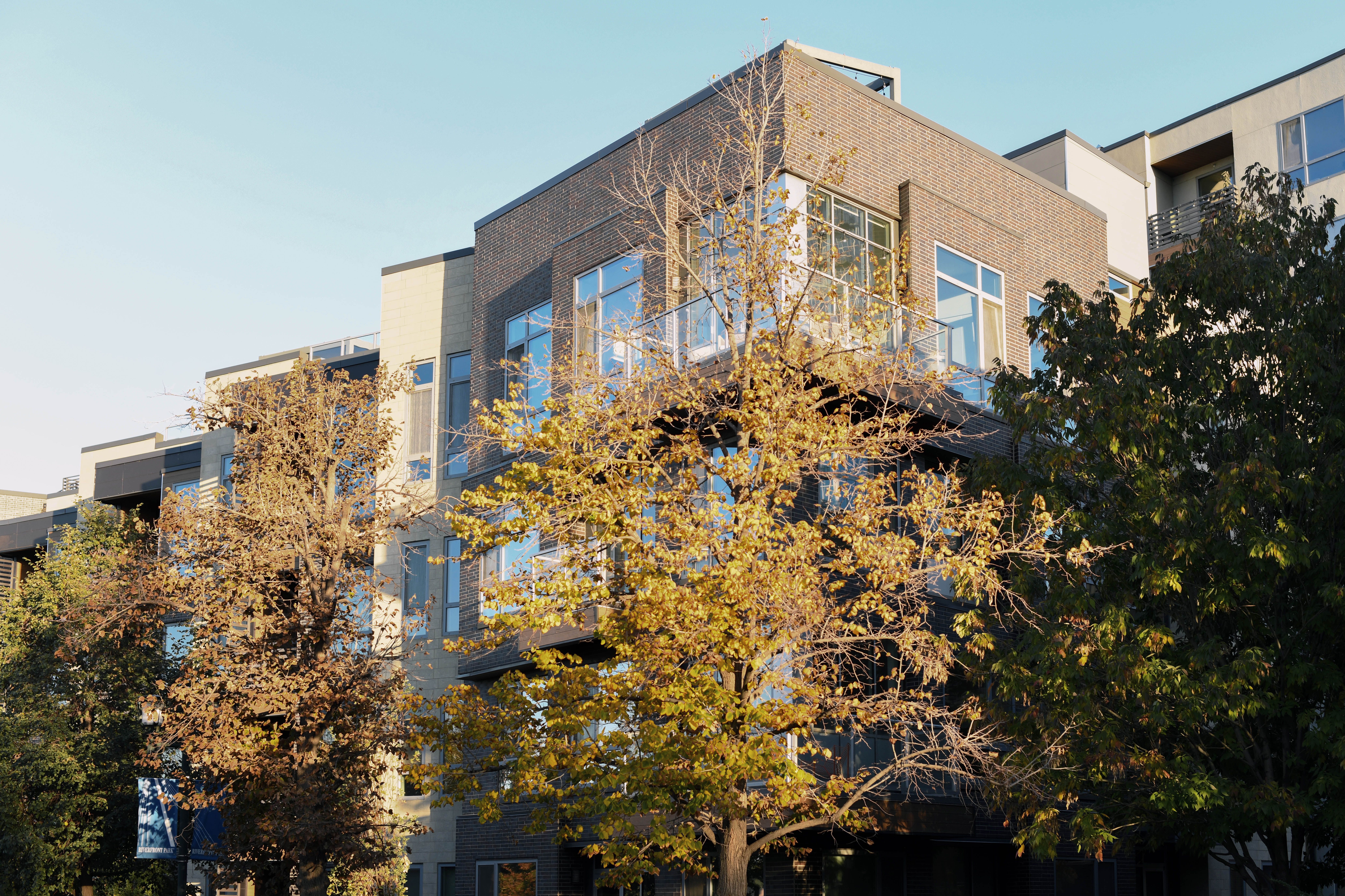 Modern Apartment Building in Autumn Sunlight · Free Stock Photo