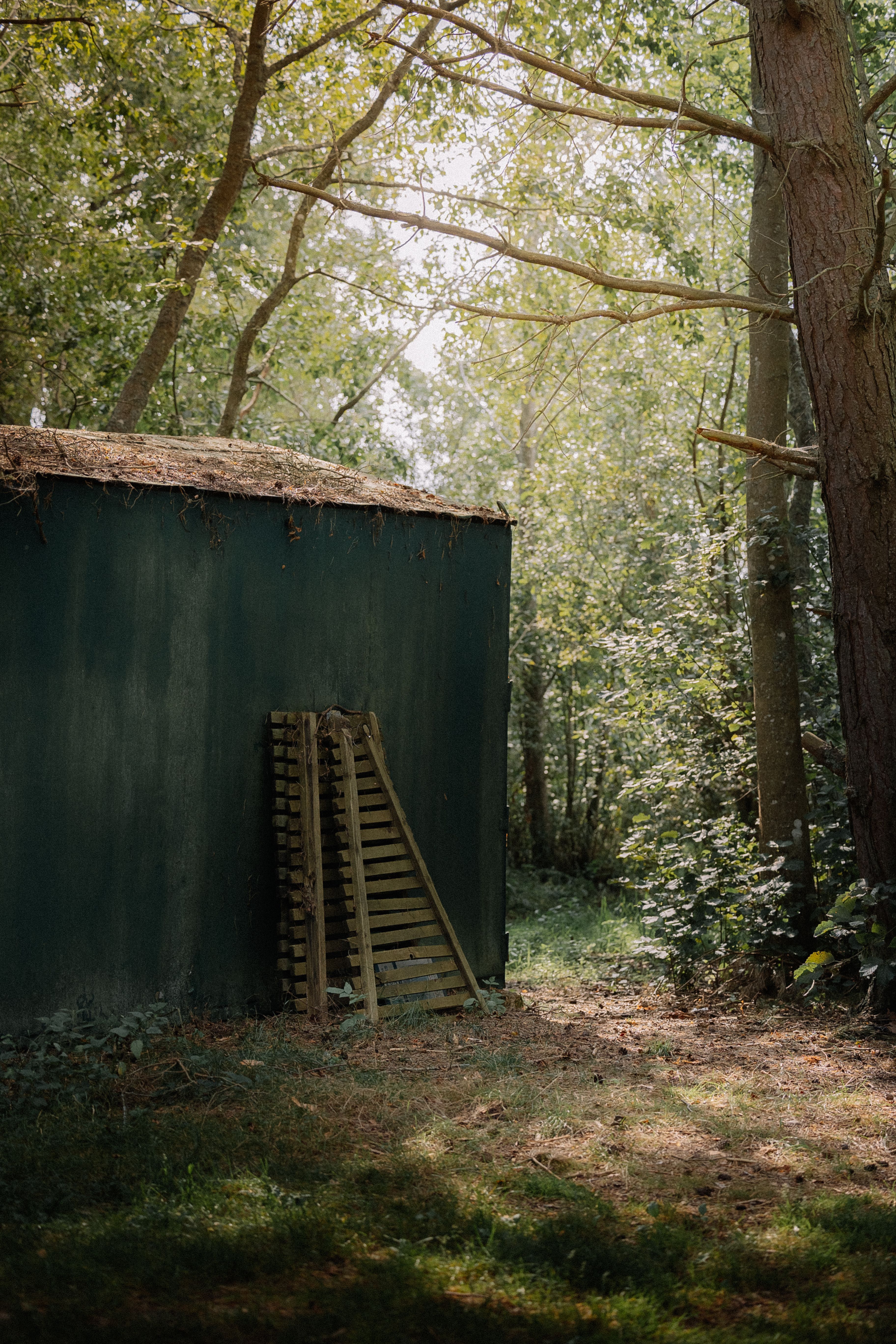 Rustic Woodland Watermill with Red Wheel · Free Stock Photo
