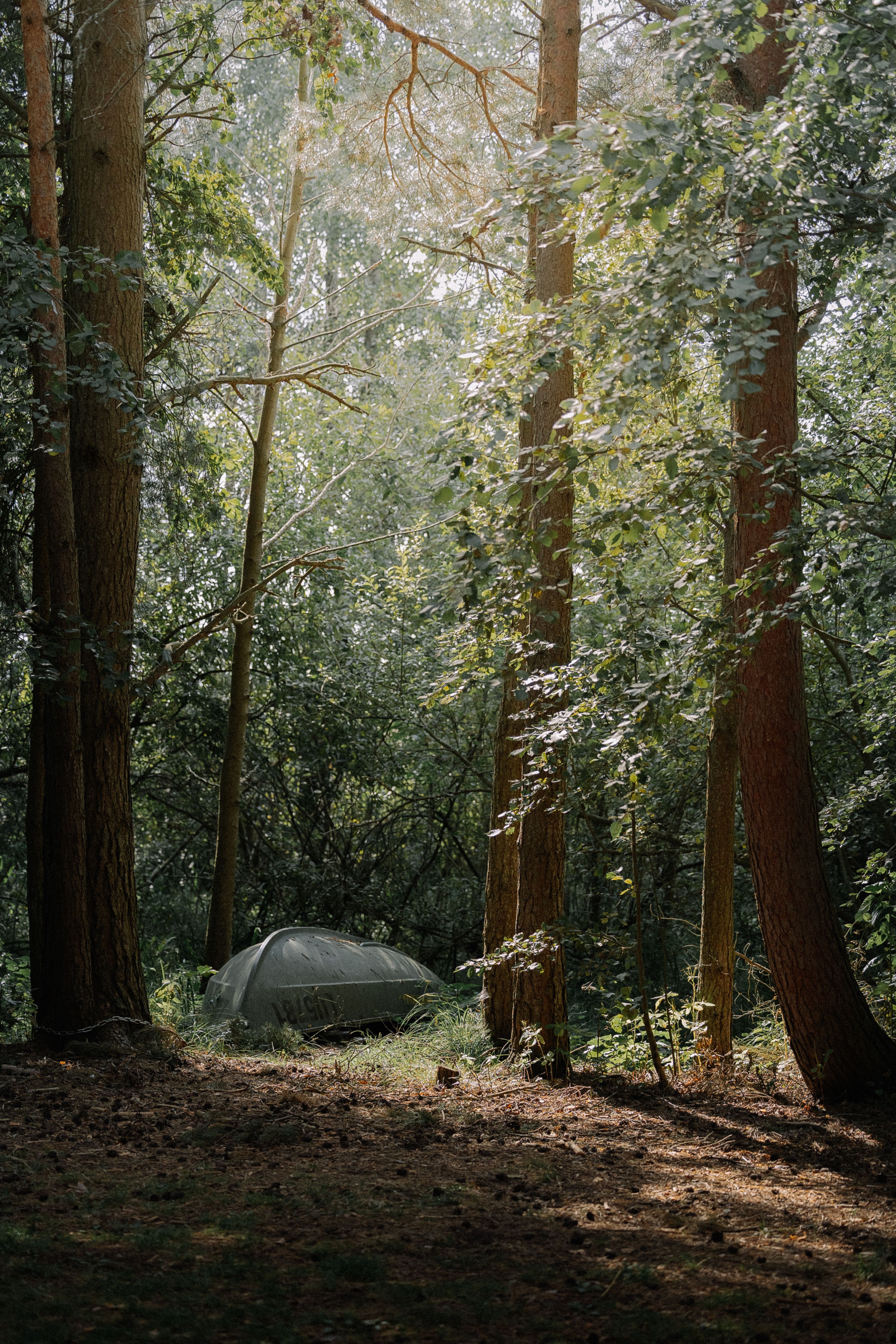 Photo of Tent in Forest · Free Stock Photo