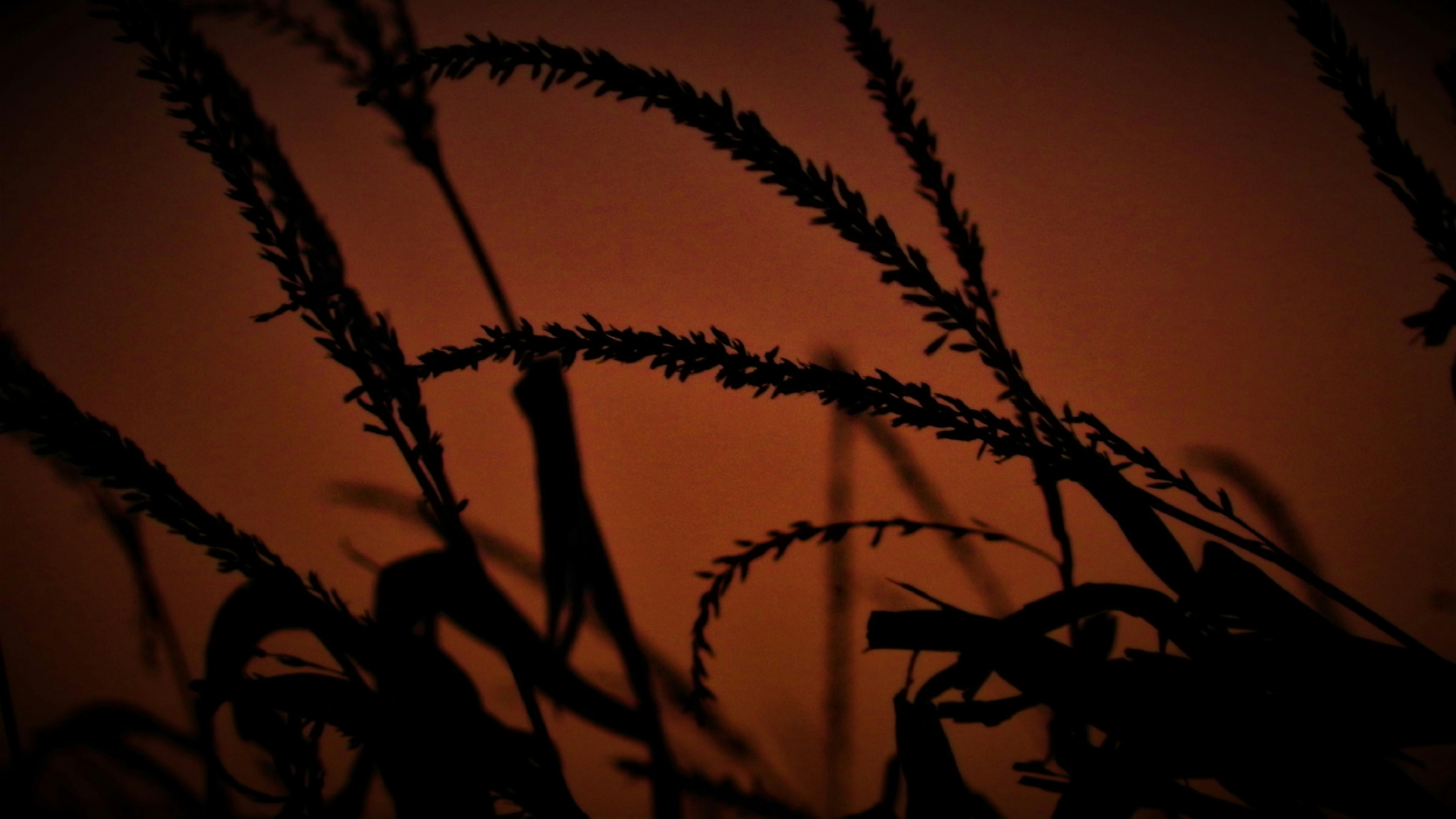 Down On The Farm 23 Photos & Videos Collected by Lady Violet Adventures