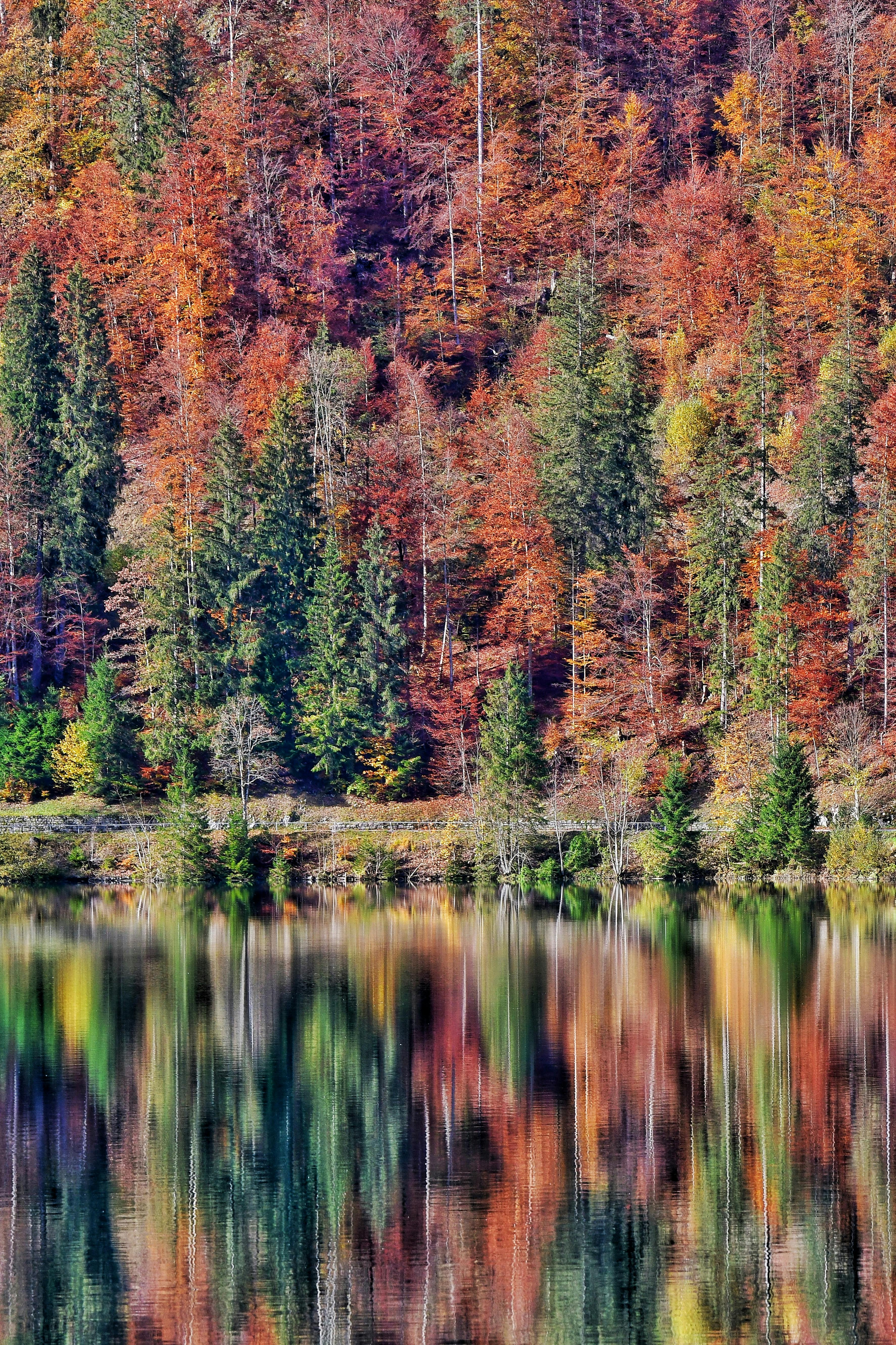 Vibrant Autumn Forest Reflection on Lake · Free Stock Photo