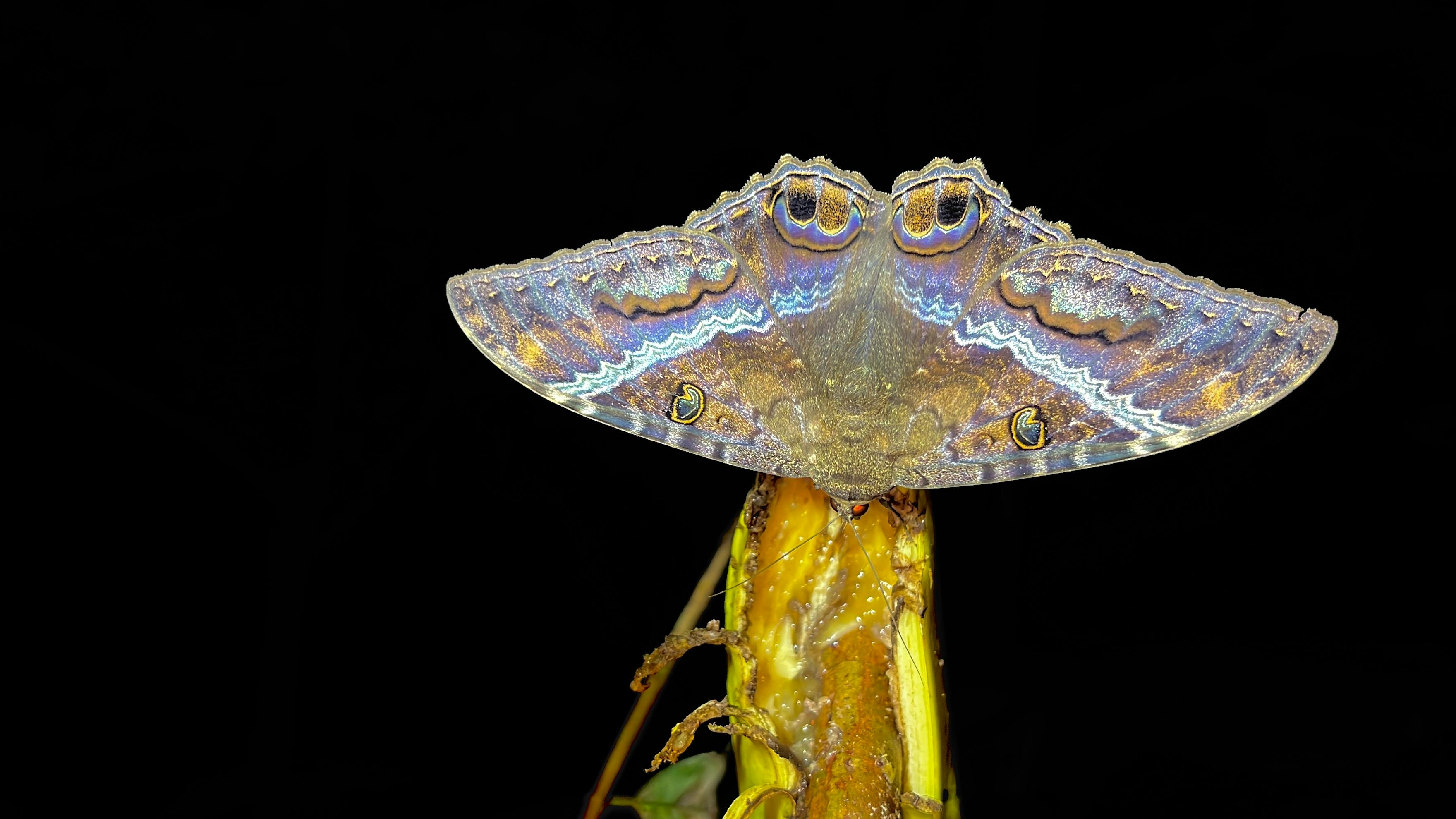 Colour Pixtures Photos, Download The BEST Free Colour Pixtures Stock ...