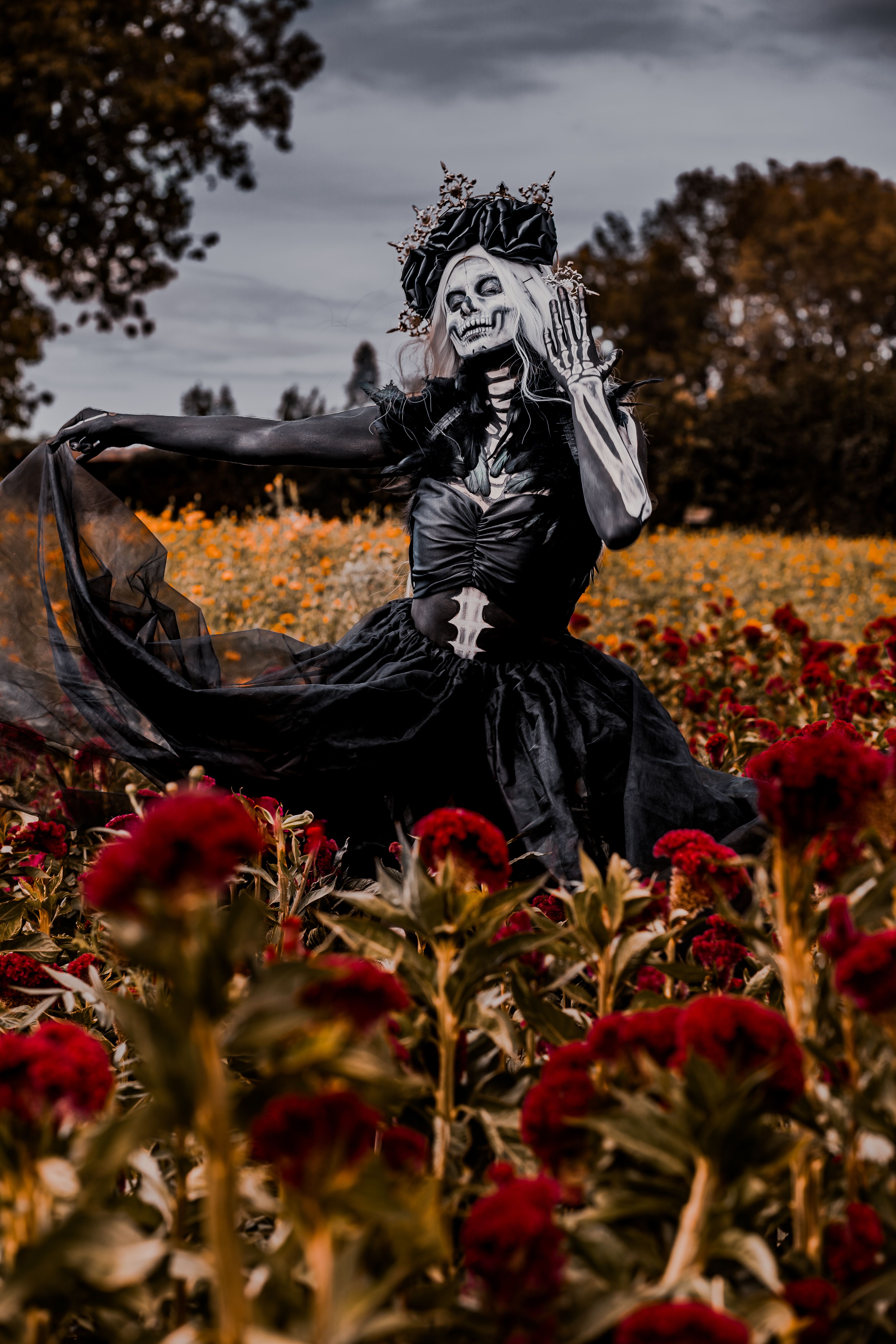 Dramática Catrina En Campo De Flores Para El Día De Muertos · Foto de ...
