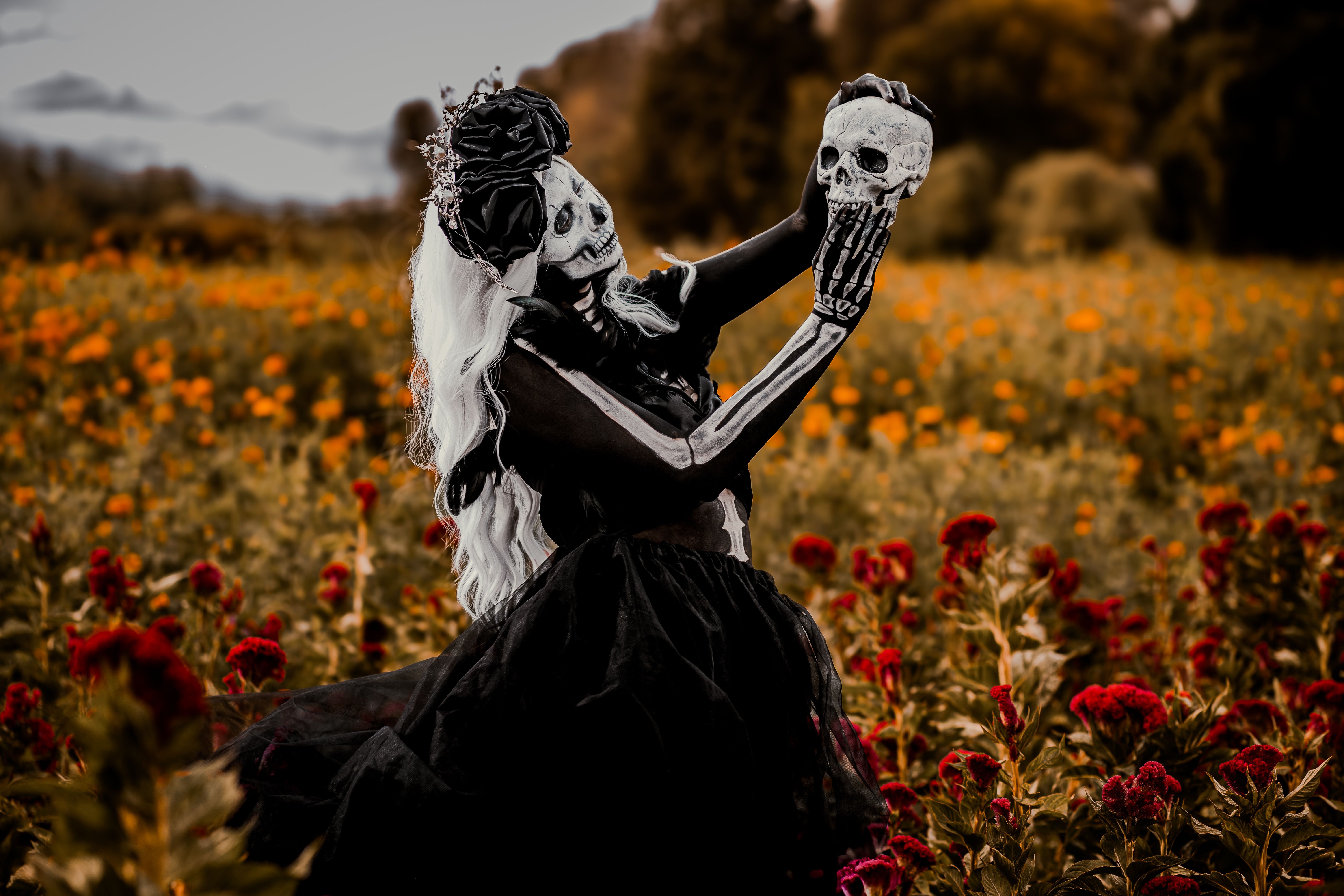 Elegante Catrina En Un Vibrante Campo De Flores Mexicanas · Foto de ...