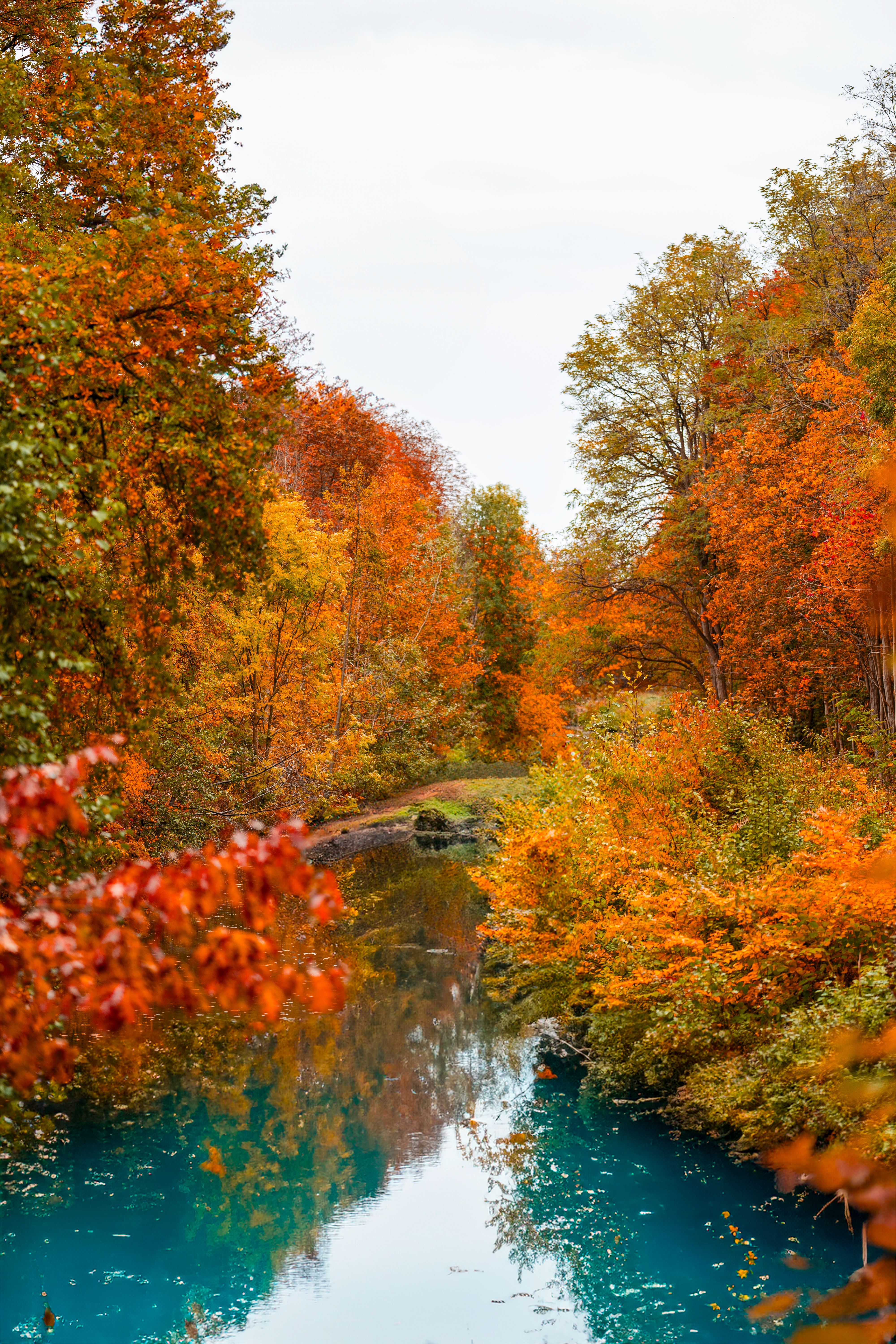 Scenic Autumn Landscape with Vibrant Foliage · Free Stock Photo