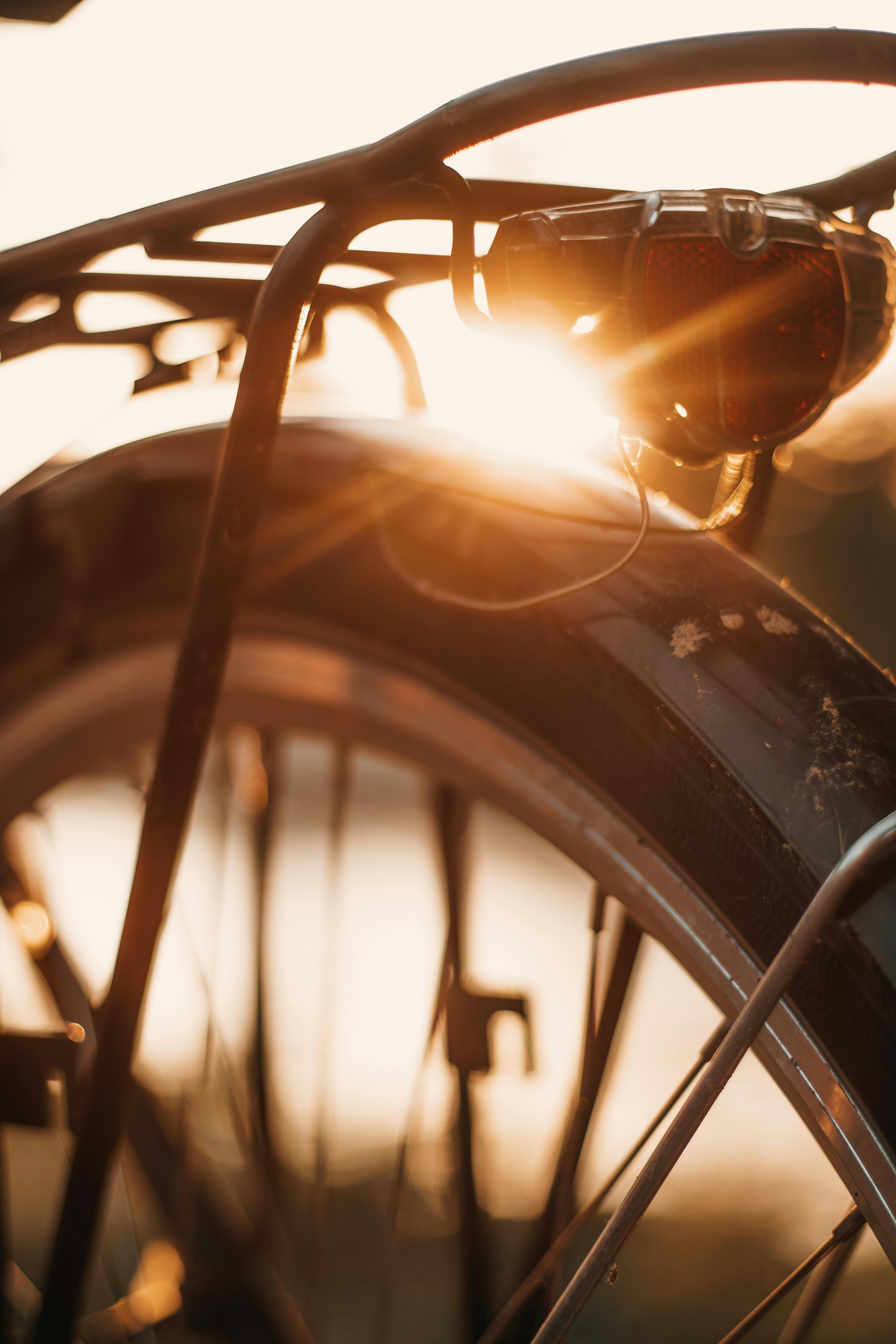 Sunlit Bicycle Wheel Close-Up in Berlin · Free Stock Photo