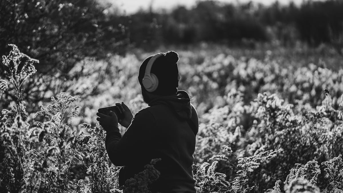 Headphone Images Photos, Download The BEST Free Headphone Images Stock ...