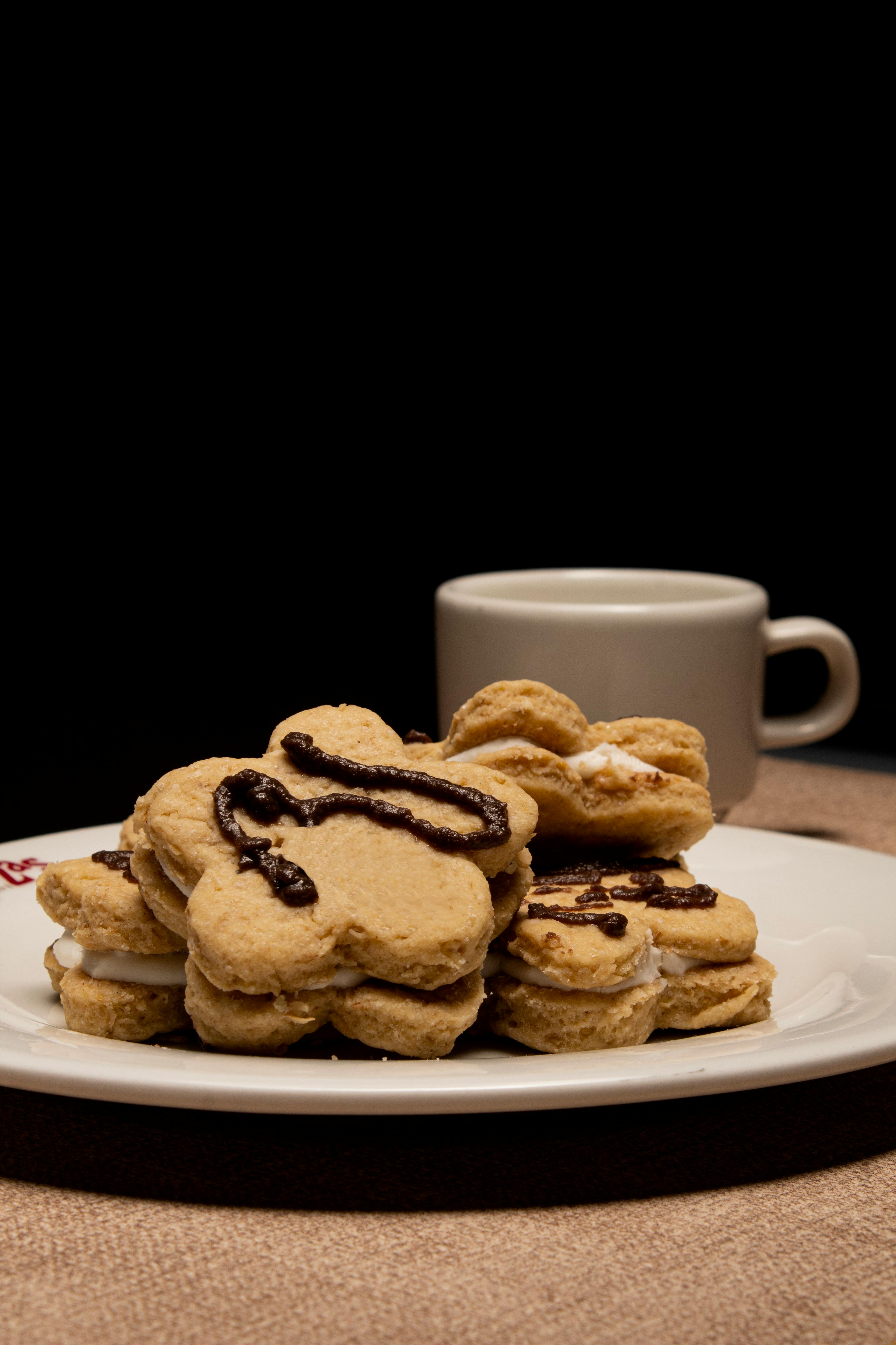 Delicious Biscuits with Chocolate Drizzle and Coffee · Free Stock Photo