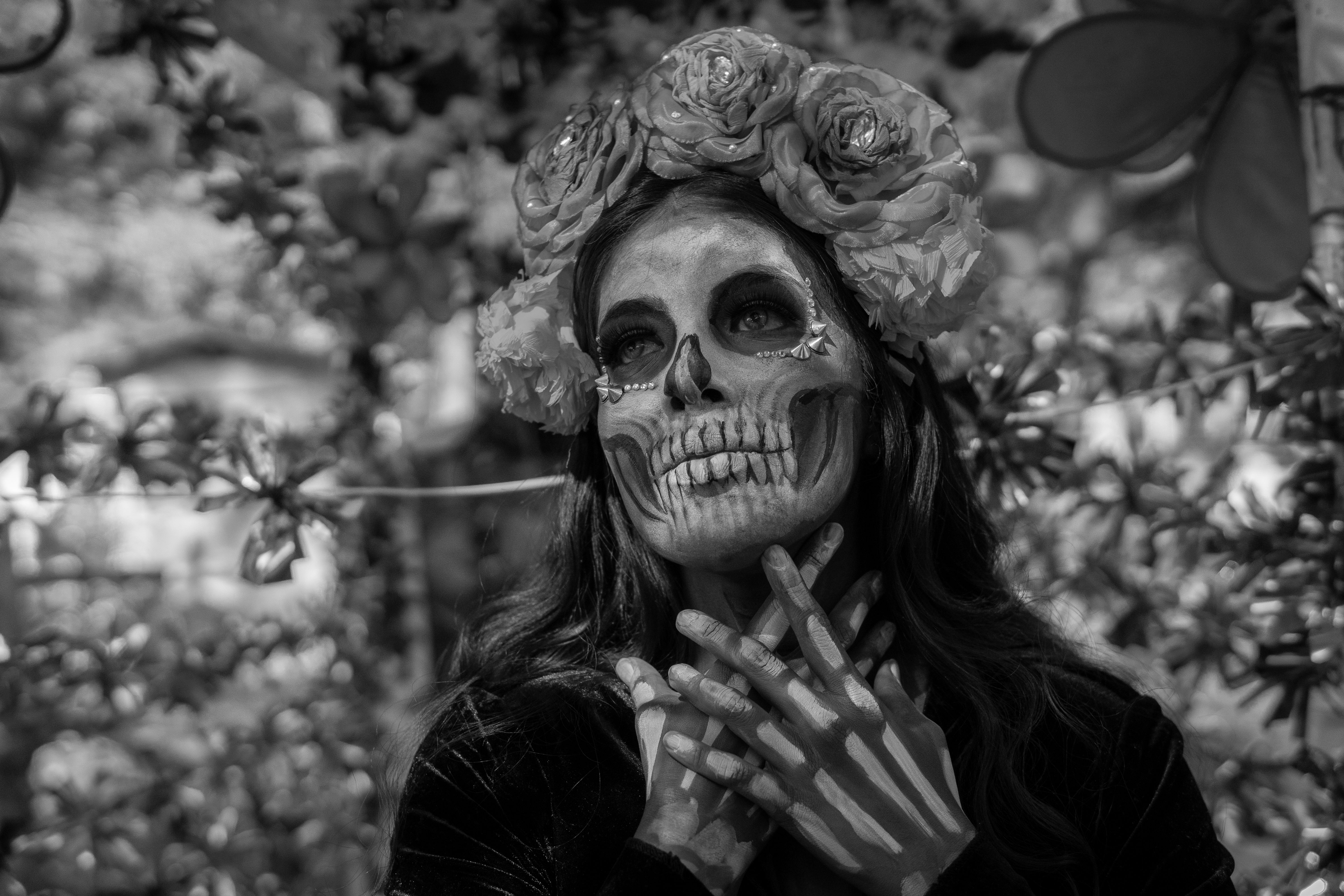 Themes Of Life And Death Photos, Download The BEST Free Themes Of Life ...