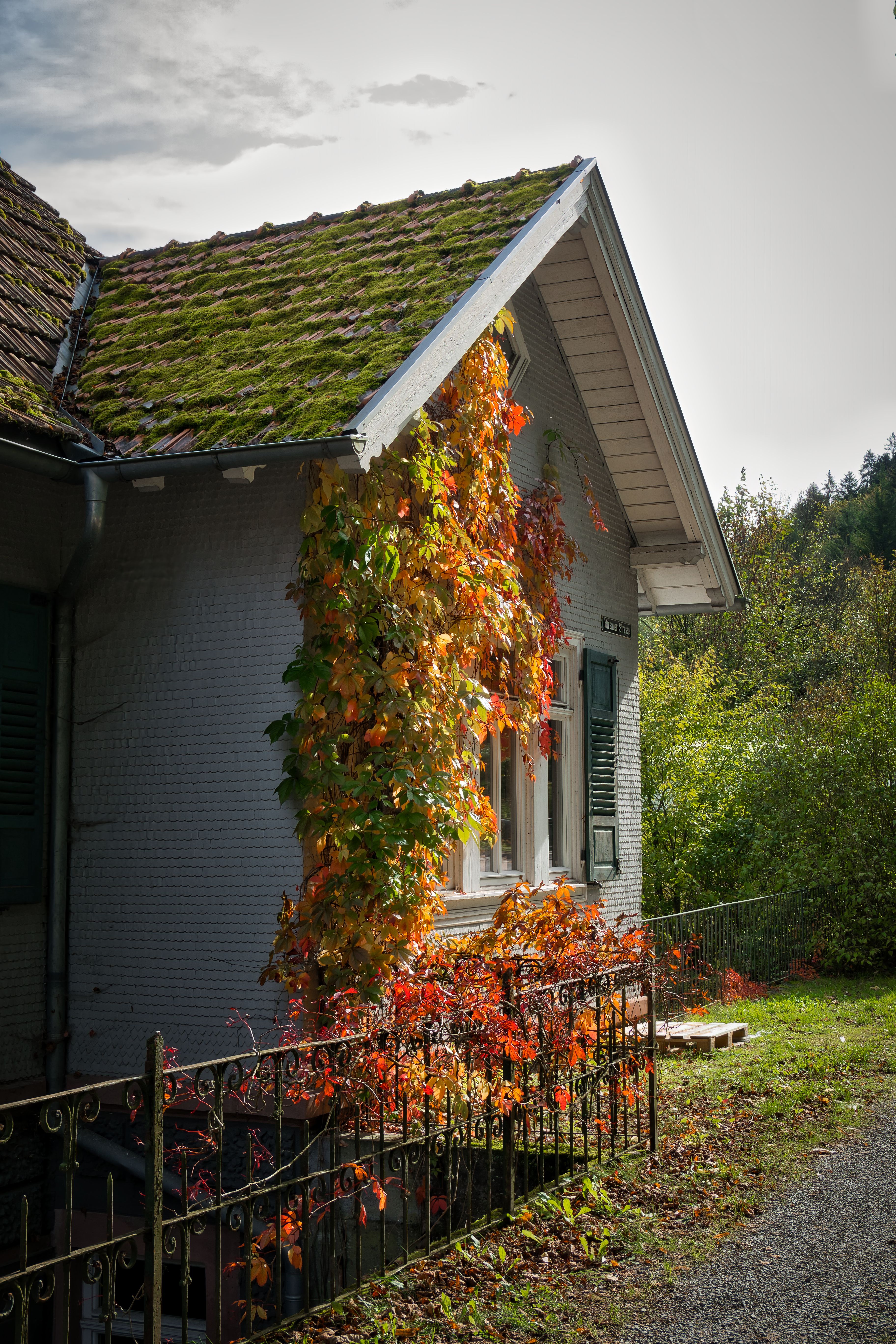 Charming House with Autumn Vines in Germany · Free Stock Photo