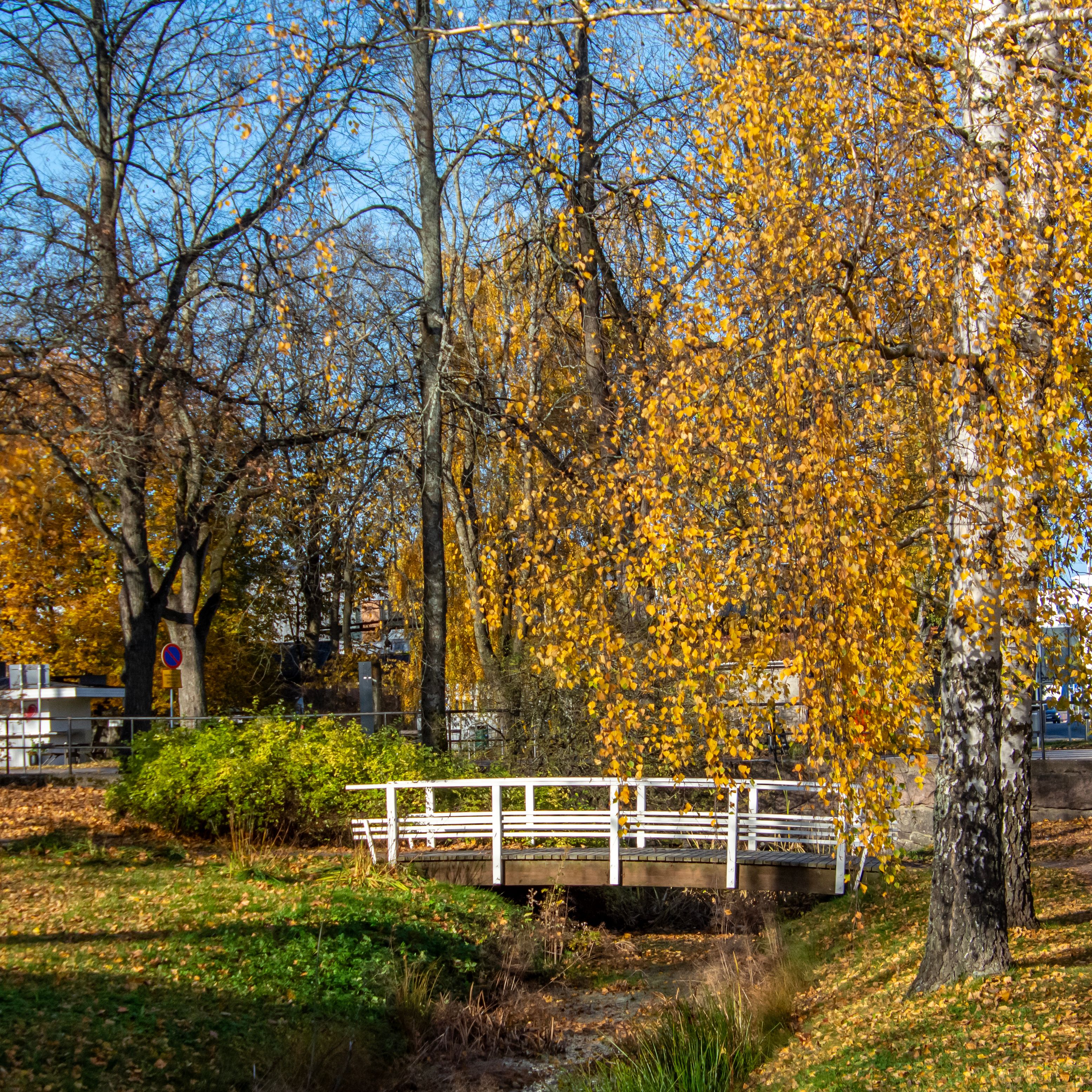 Autumn Scene with Wooden Bridge in Turku Park · Free Stock Photo