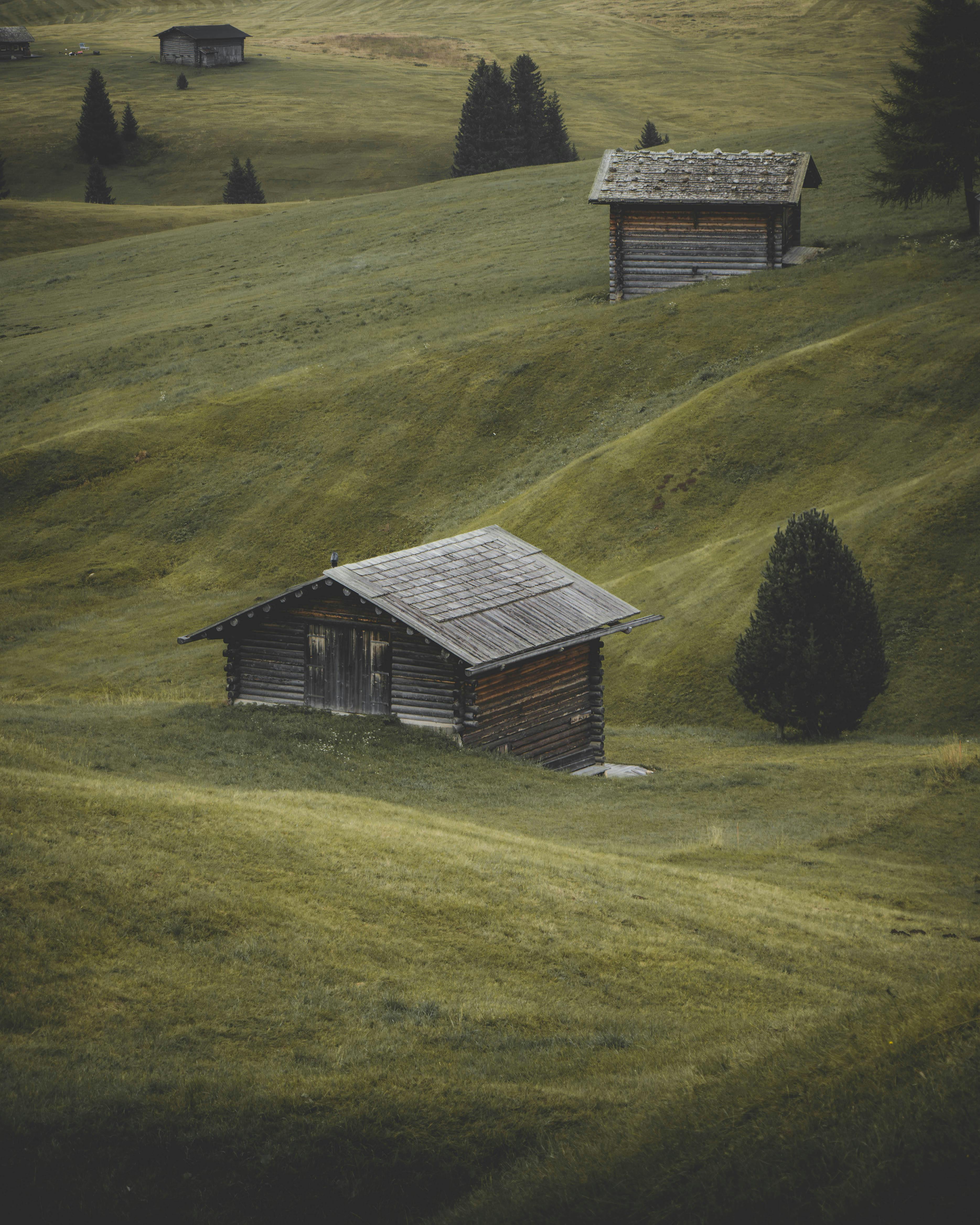 Rustic Cabins on Trentino-Alto Adige Hillside · Free Stock Photo