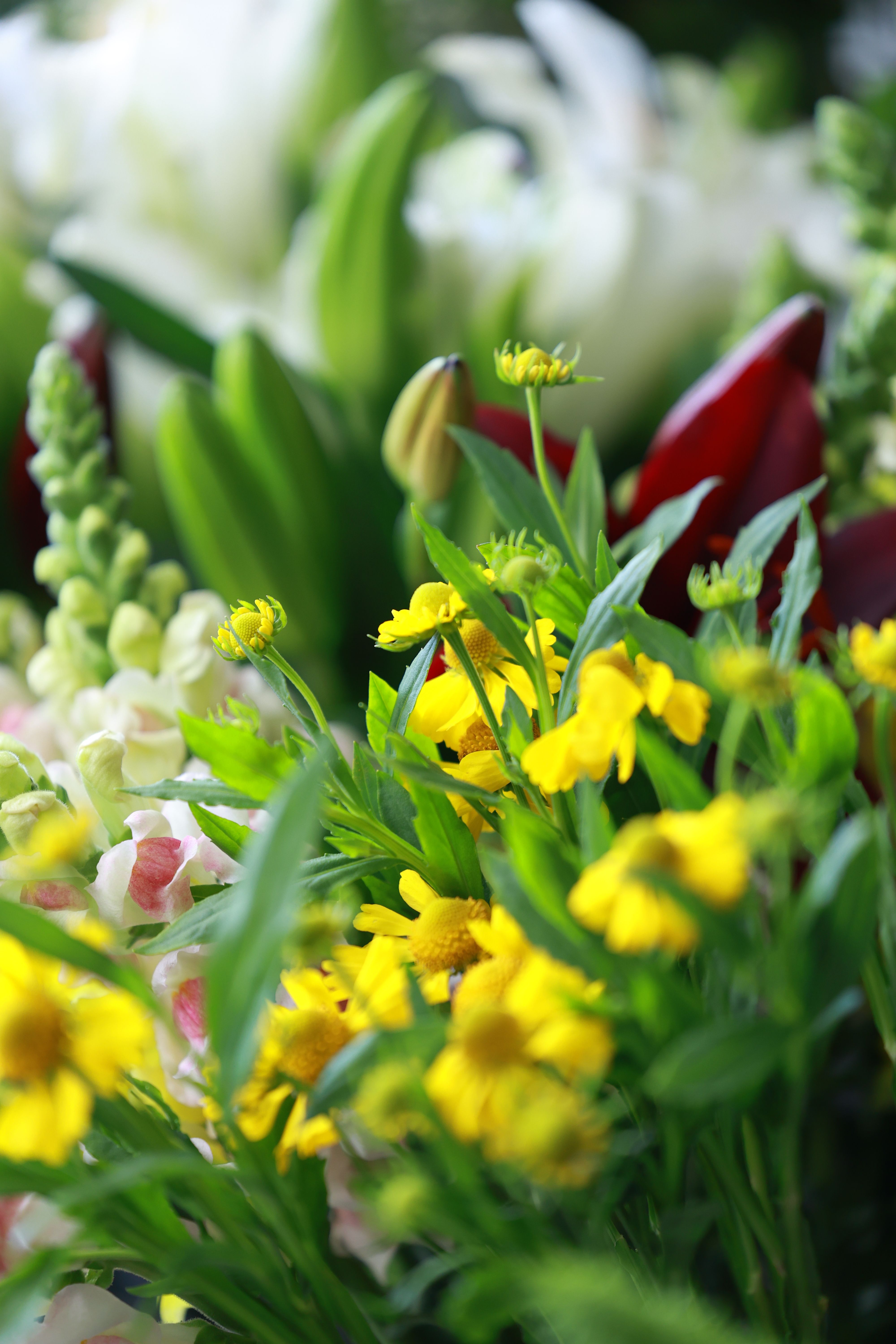 Close-up of Vibrant Spring Bouquet with Yellow Flowers · Free Stock Photo