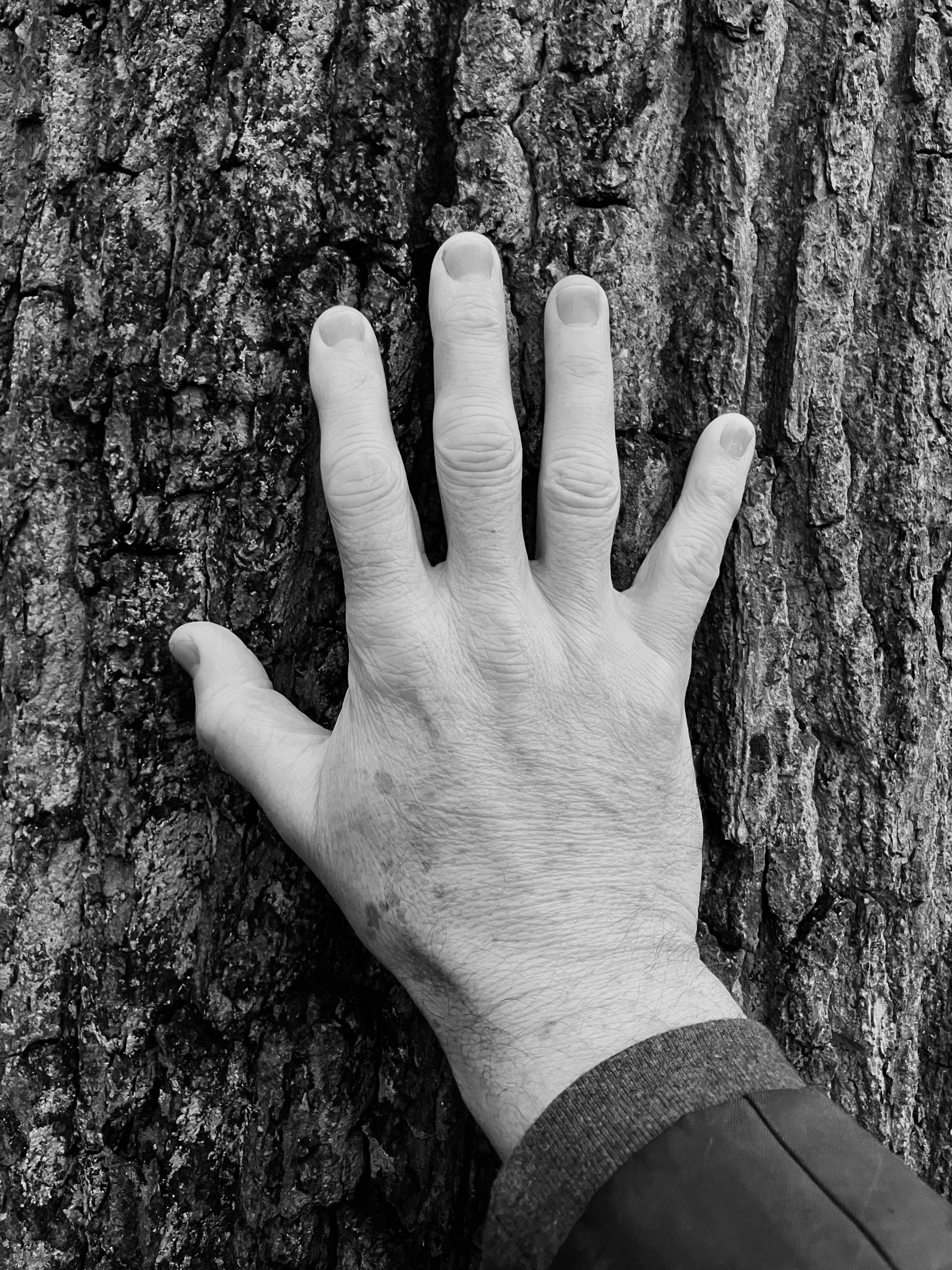 boyd butler - Photography