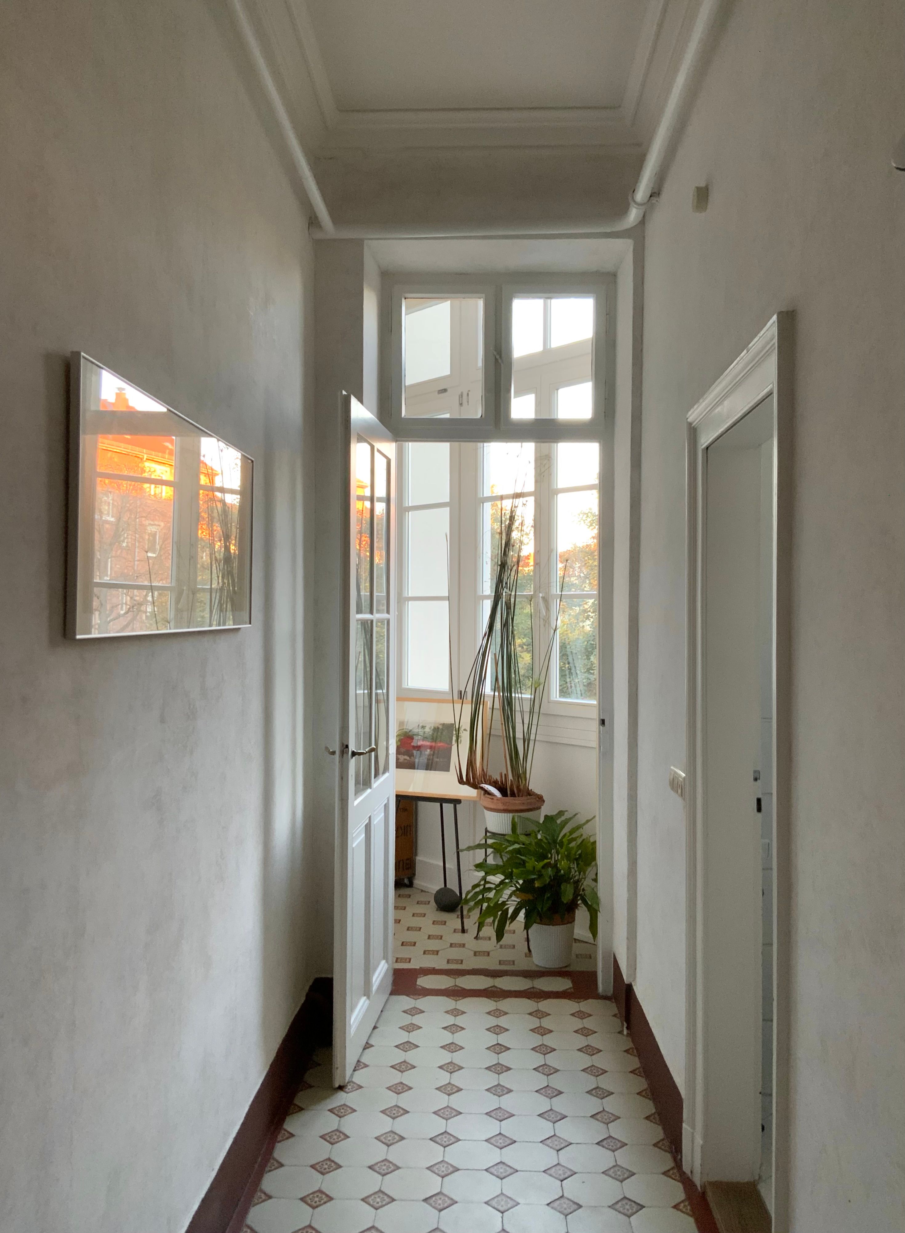 Bright Hallway with Natural Light and Plants · Free Stock Photo