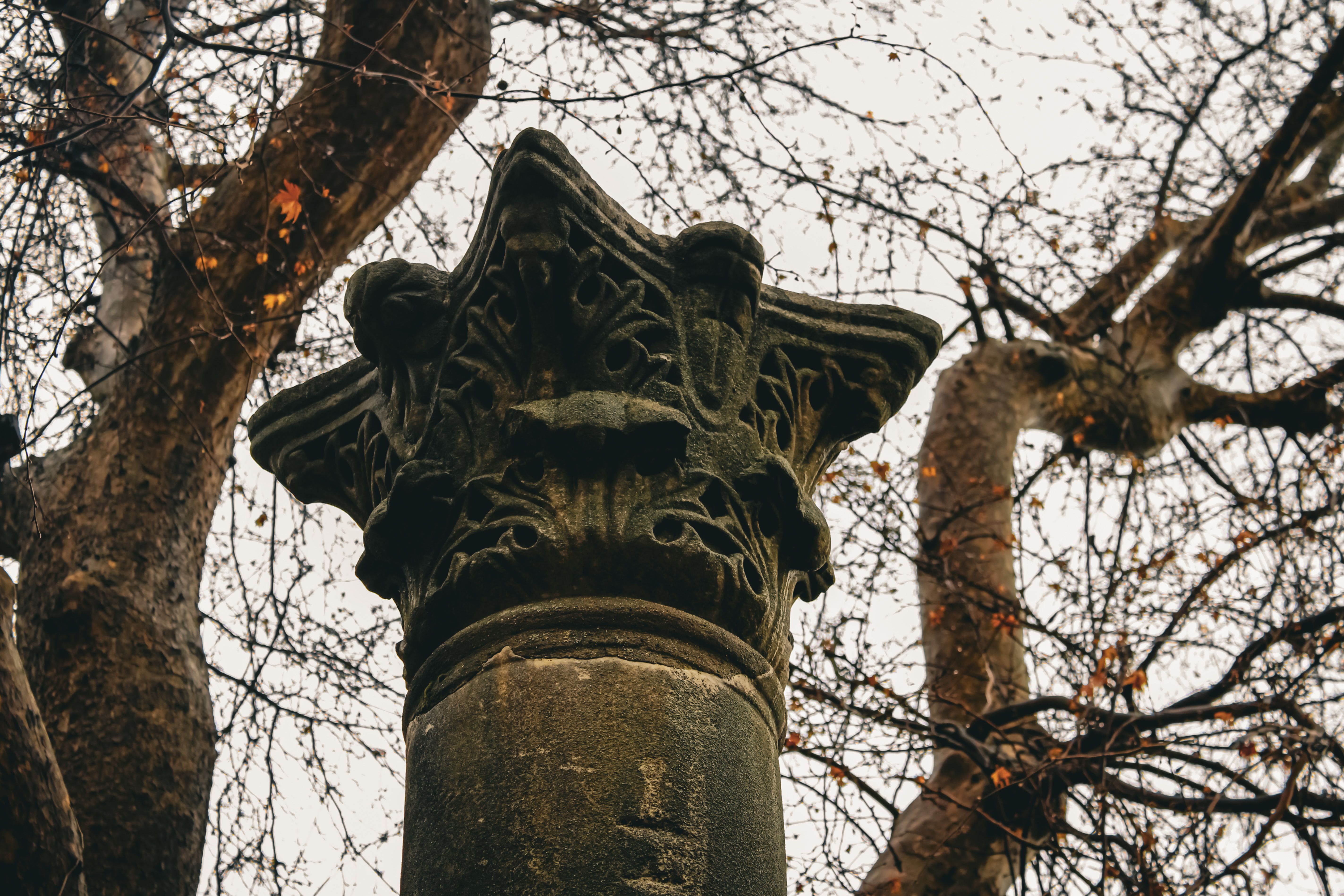 Ancient Stone Column Amidst Leafless Trees · Free Stock Photo