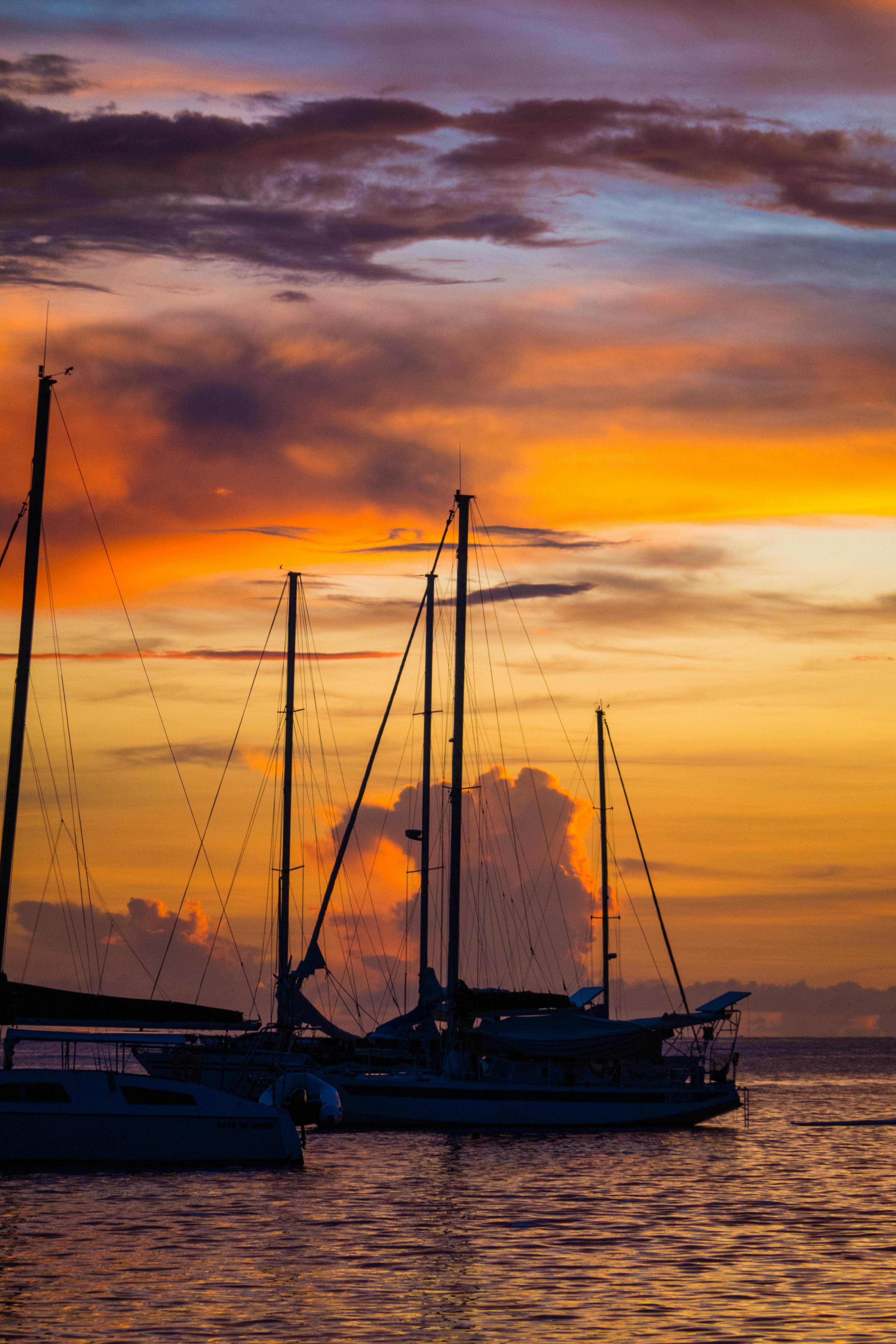 Paul Scheelen - 摄影