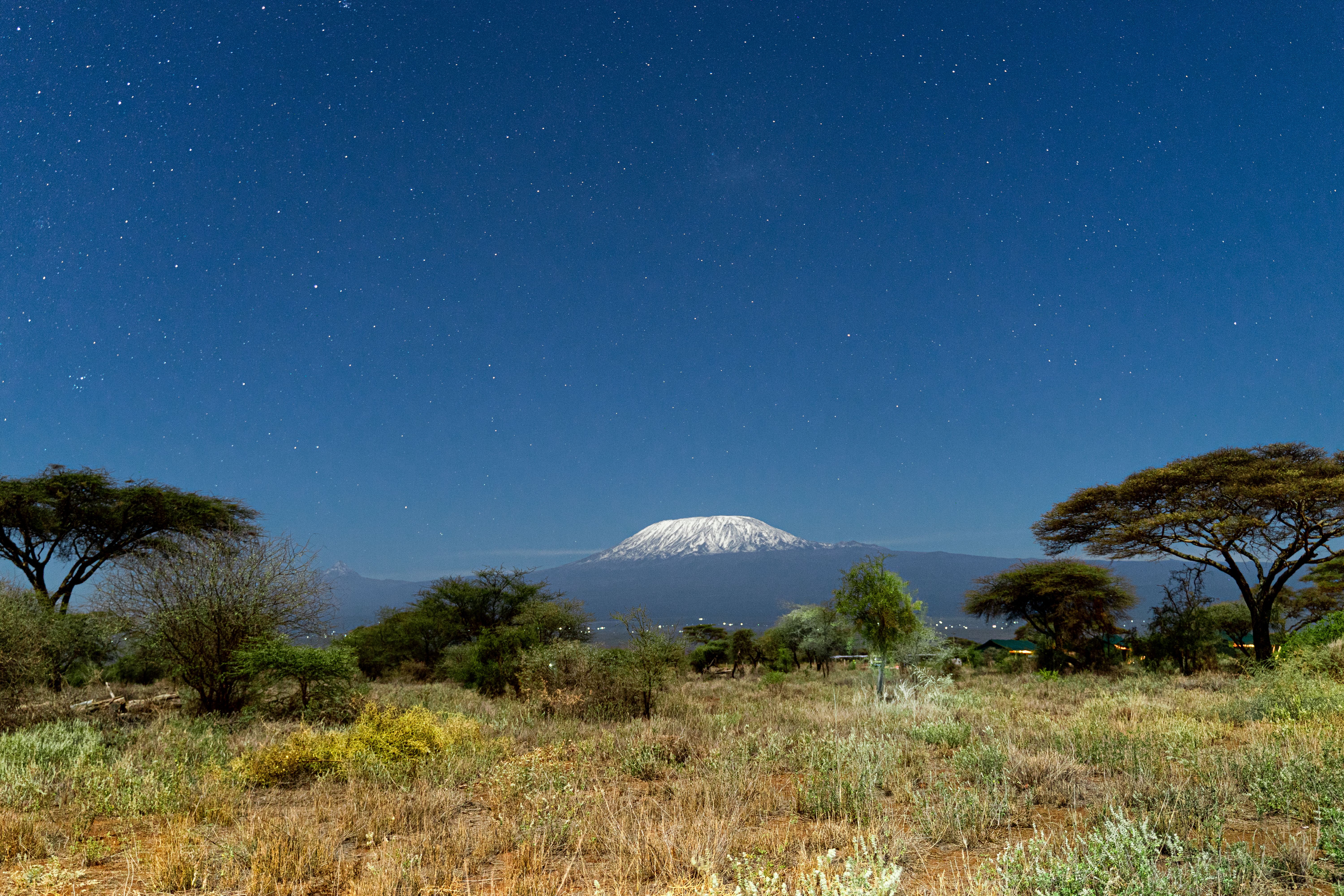 Starry Night Over Mount Kilimanjaro from Kenya · Free Stock Photo