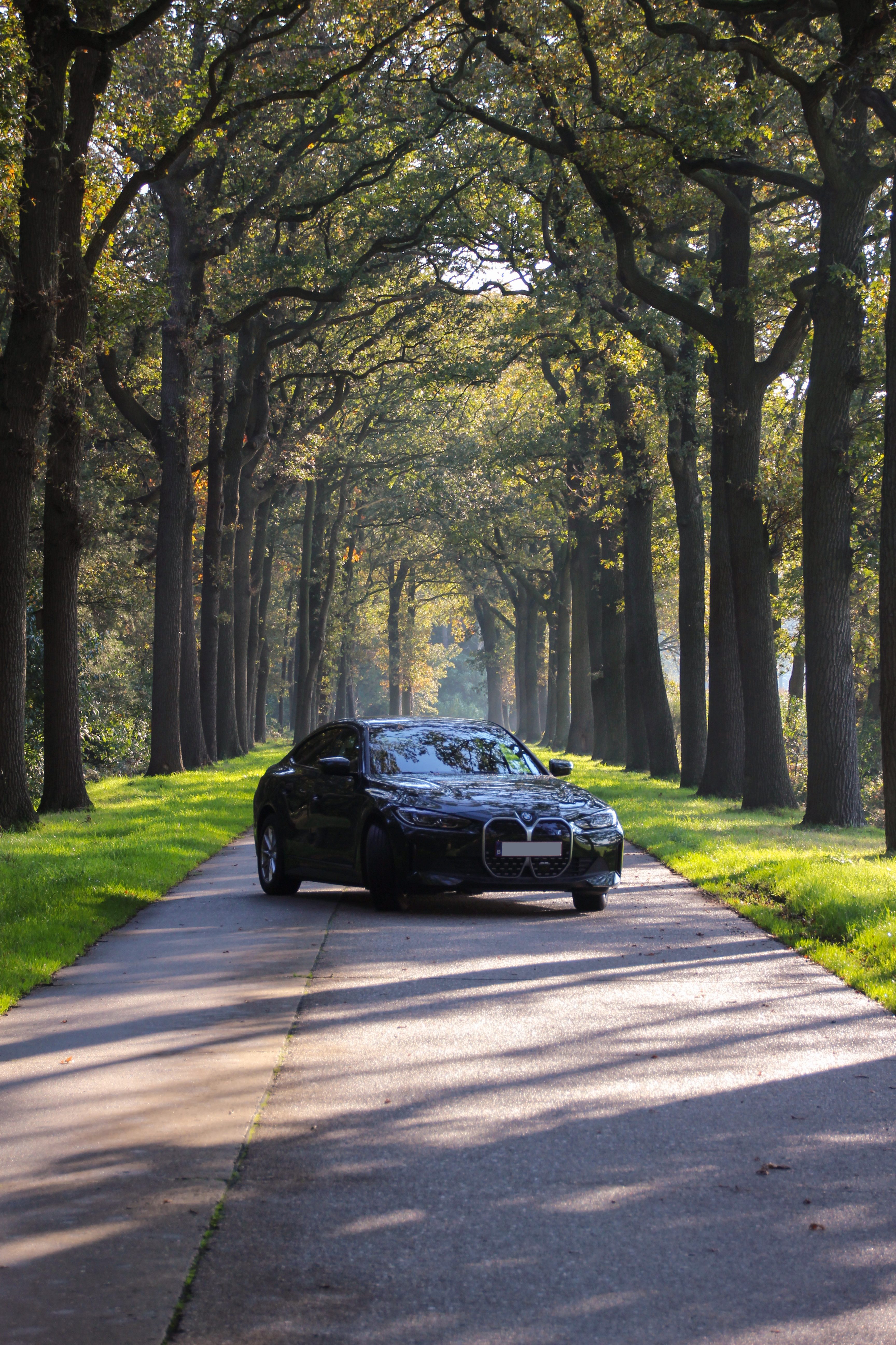Luxury Car on Tree-Lined Path in Belgium · Free Stock Photo