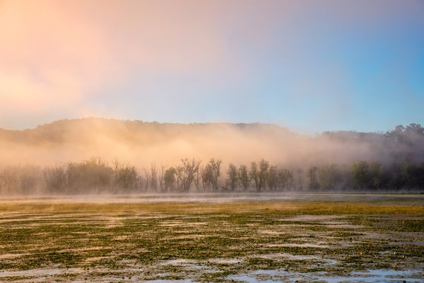 Morning Mist Photos, Download The BEST Free Morning Mist Stock Photos ...