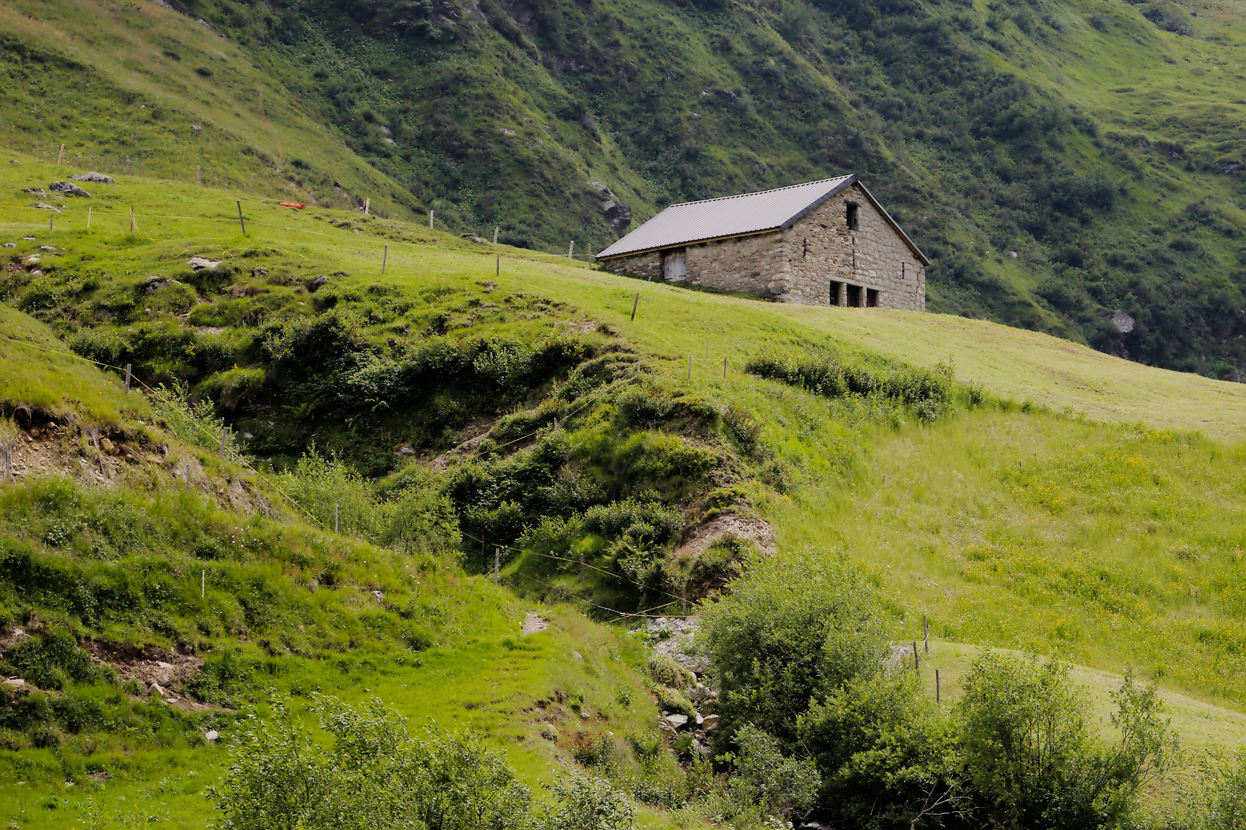 Plain Ticket Photos, Download The BEST Free Plain Ticket Stock Photos ...