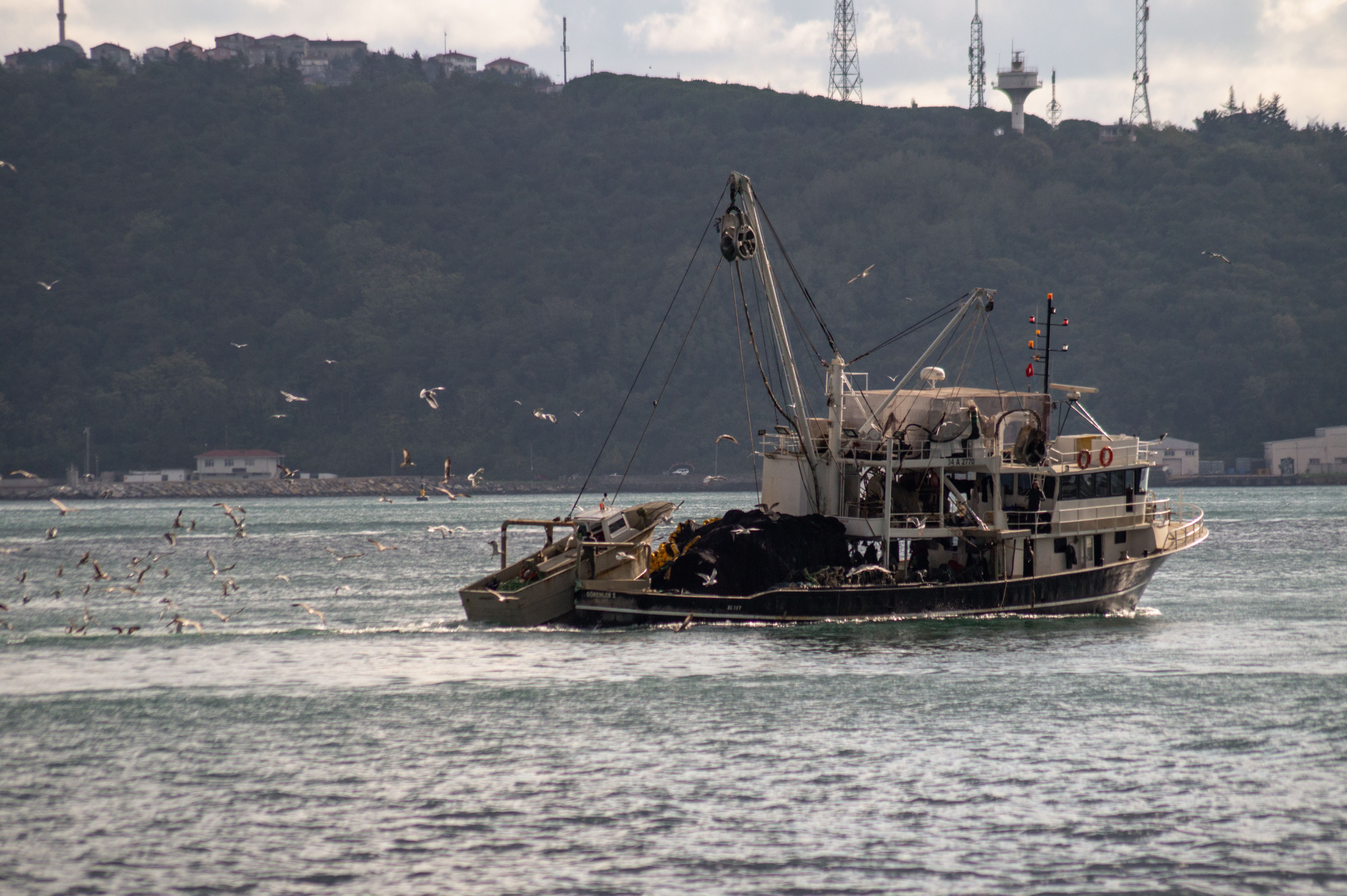 Equip Marine Photos, Download The BEST Free Equip Marine Stock Photos ...