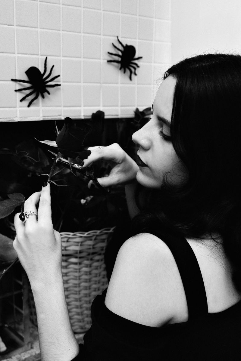 Spider Aesthetic Photos, Download The BEST Free Spider Aesthetic Stock ...