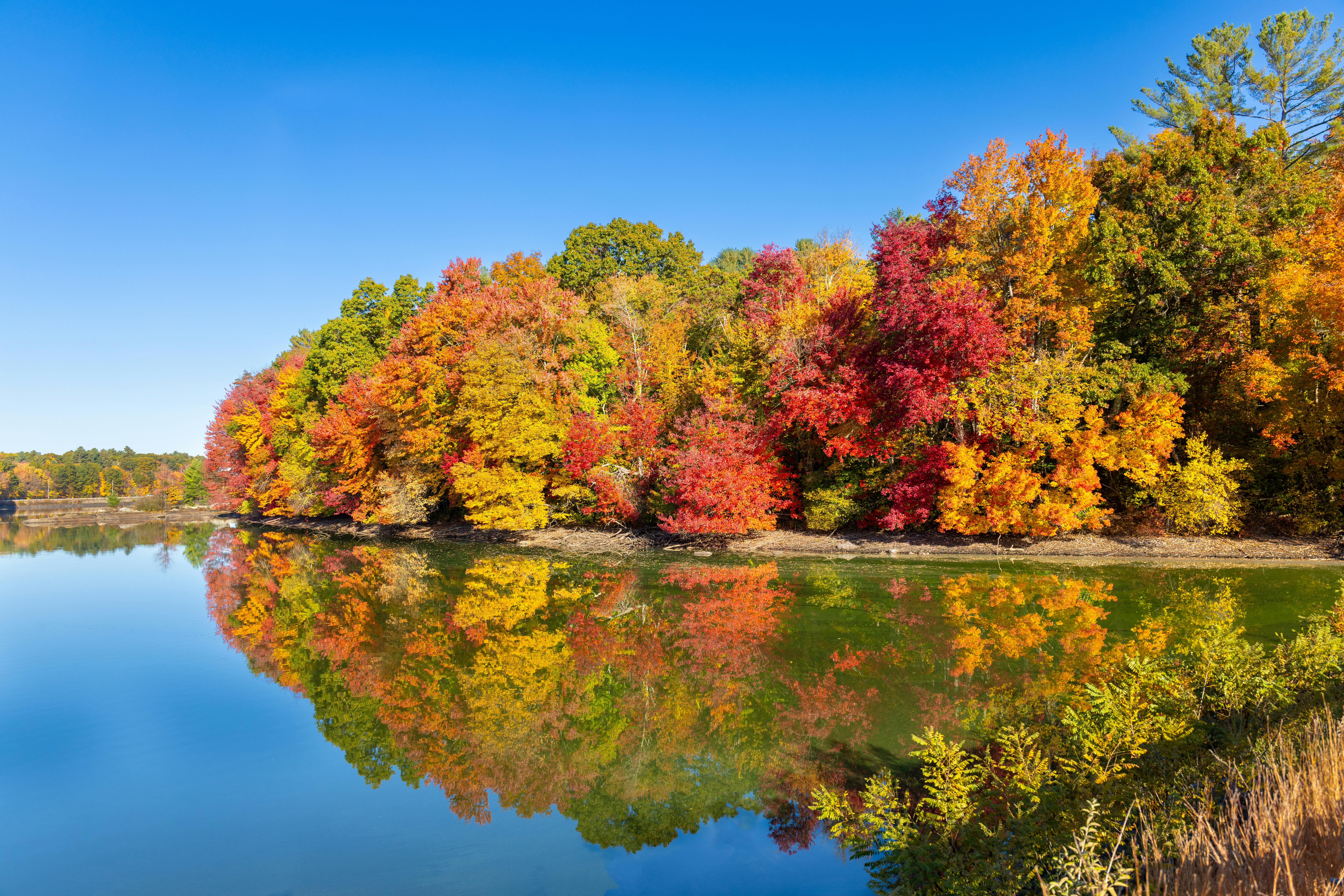 Vibrant Autumn Colors Reflected in a Serene Pond · Free Stock Photo