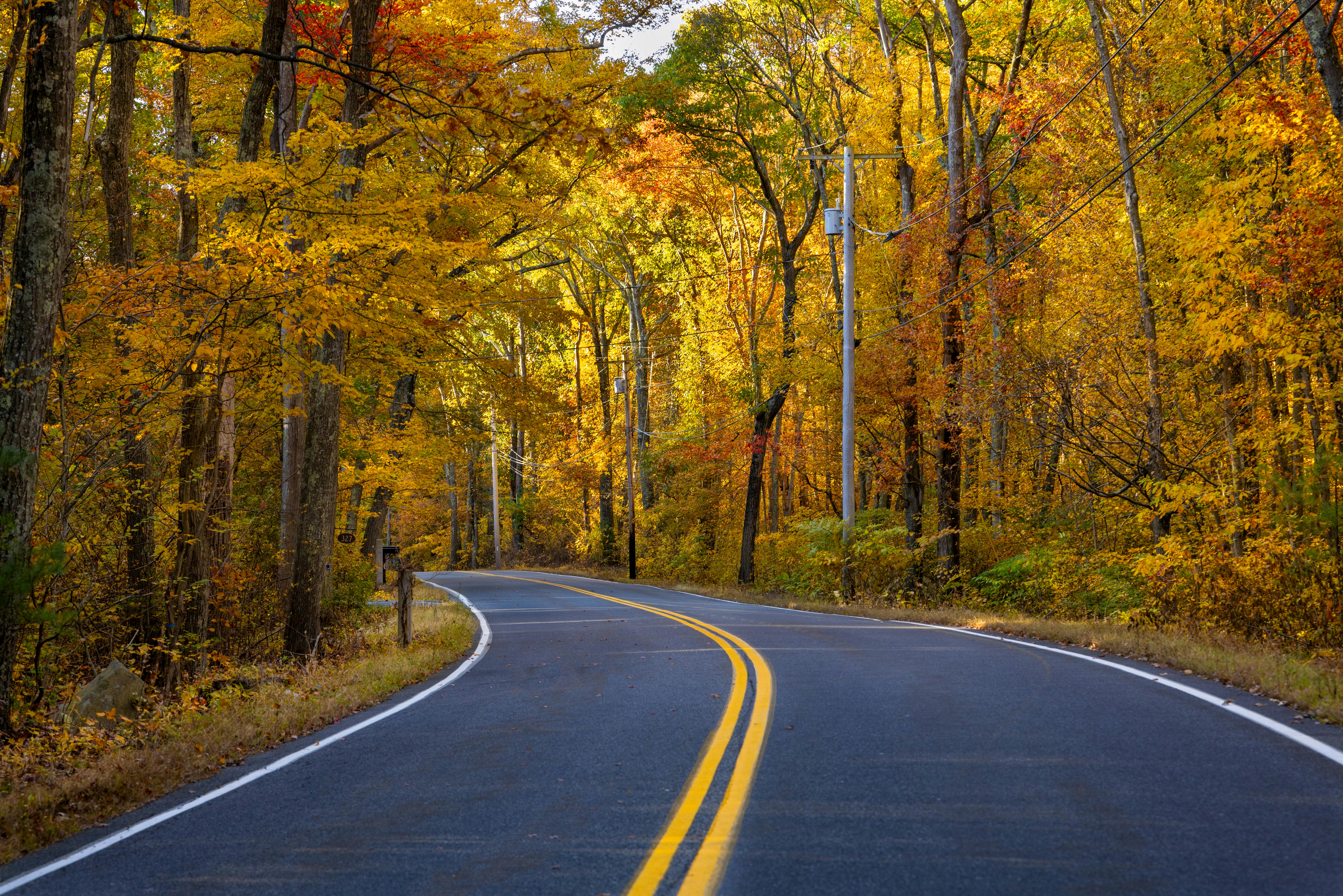 Hd Wallpaper For Curved Nonitor Photos, Download The BEST Free Hd ...