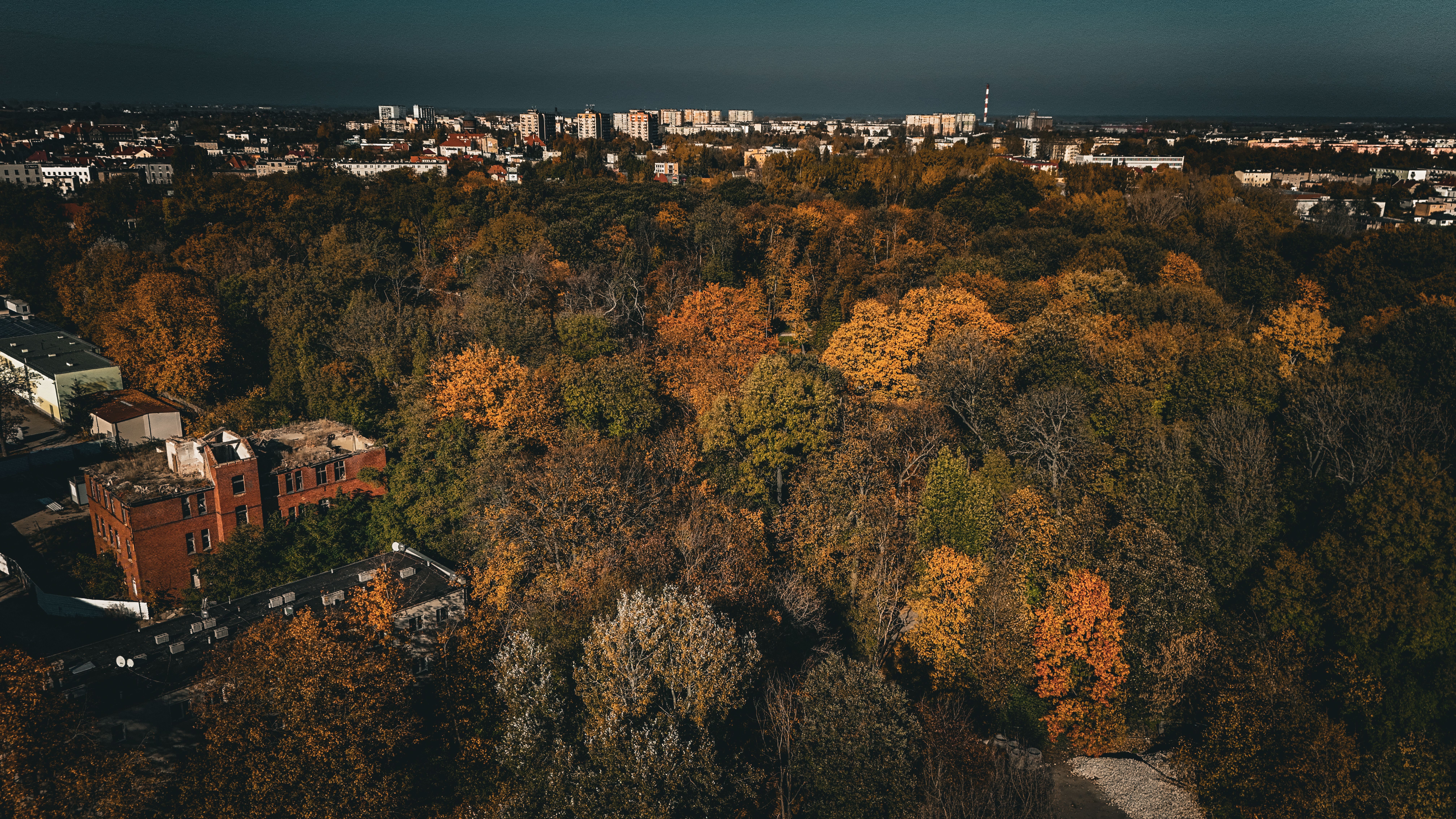 Aerial View of Autumn Cityscape and Forest · Free Stock Photo