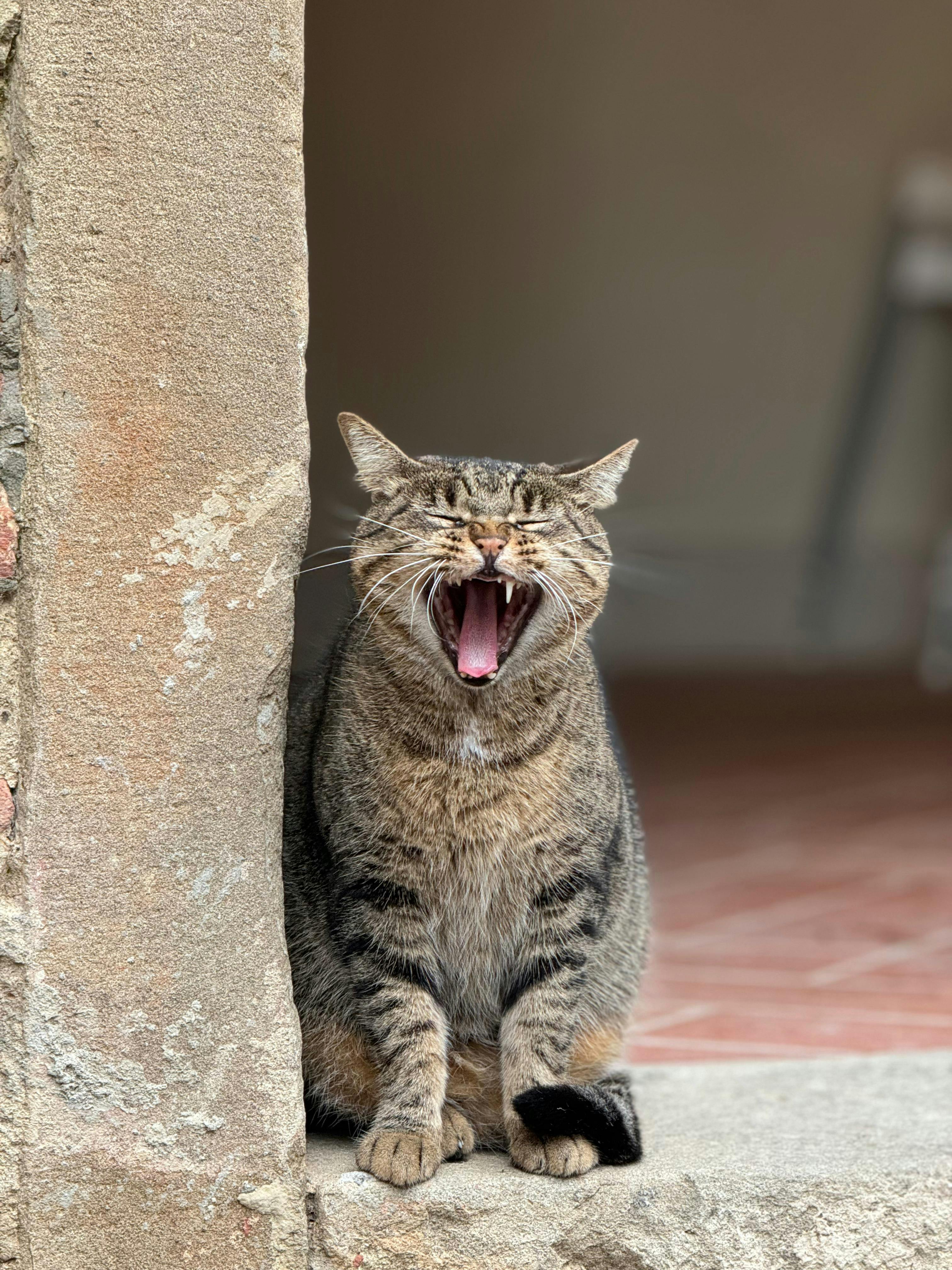 Alien Cute Photos, Download The BEST Free Alien Cute Stock Photos & HD ...