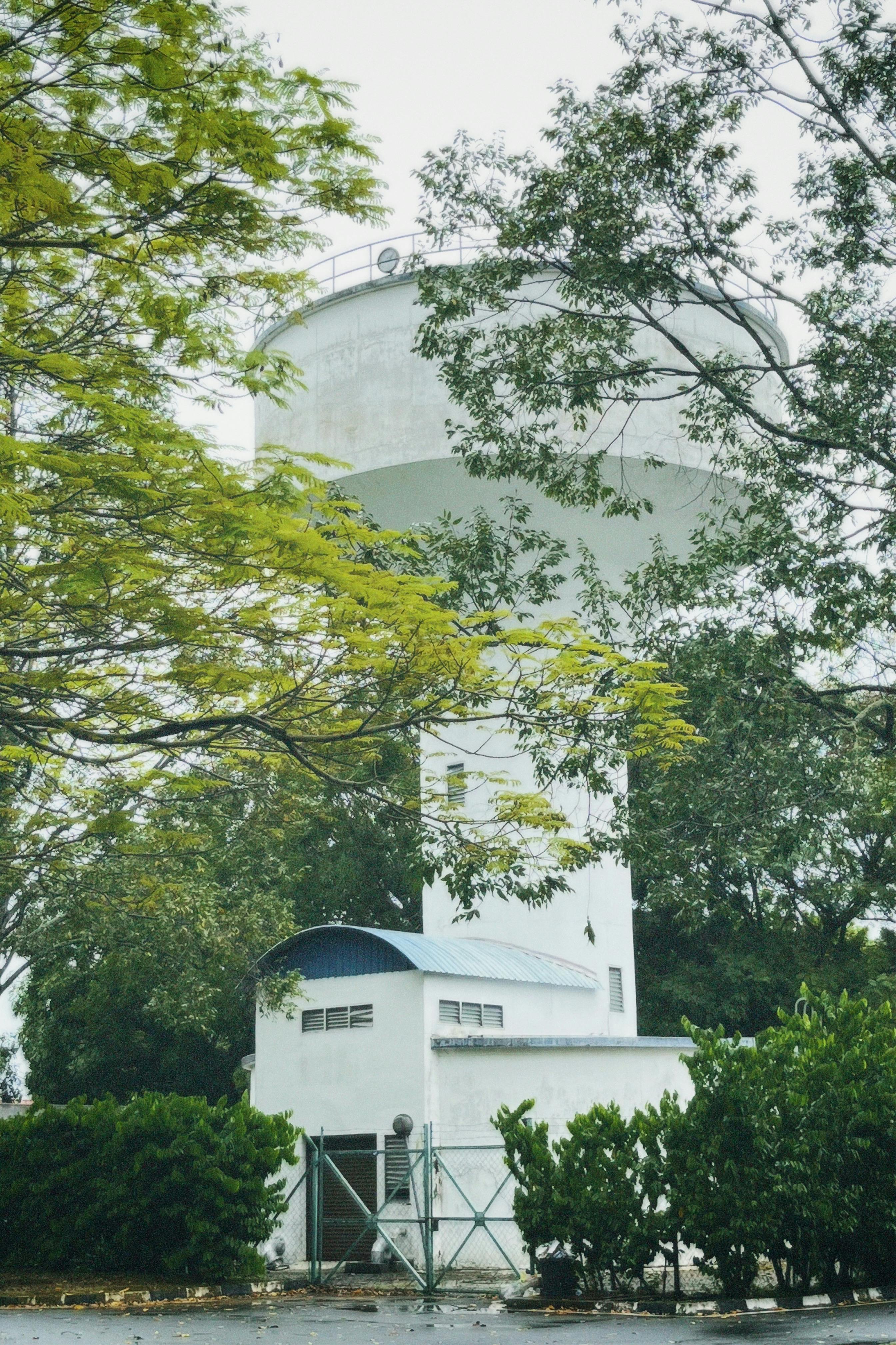 Tall Water Tower Surrounded by Lush Greenery · Free Stock Photo