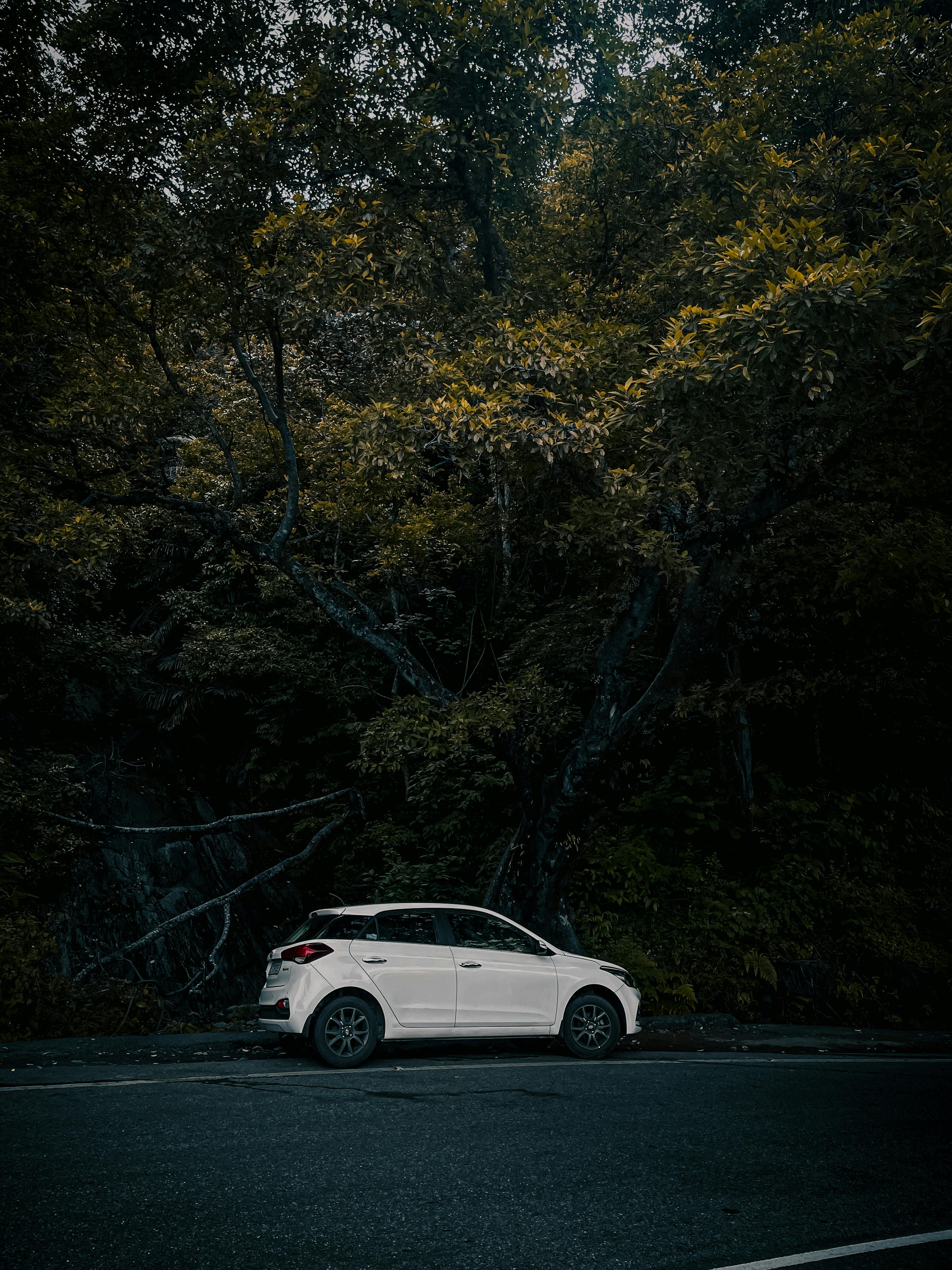 Un Elegante Coche Blanco En Una Tranquila Carretera Forestal · Foto de ...