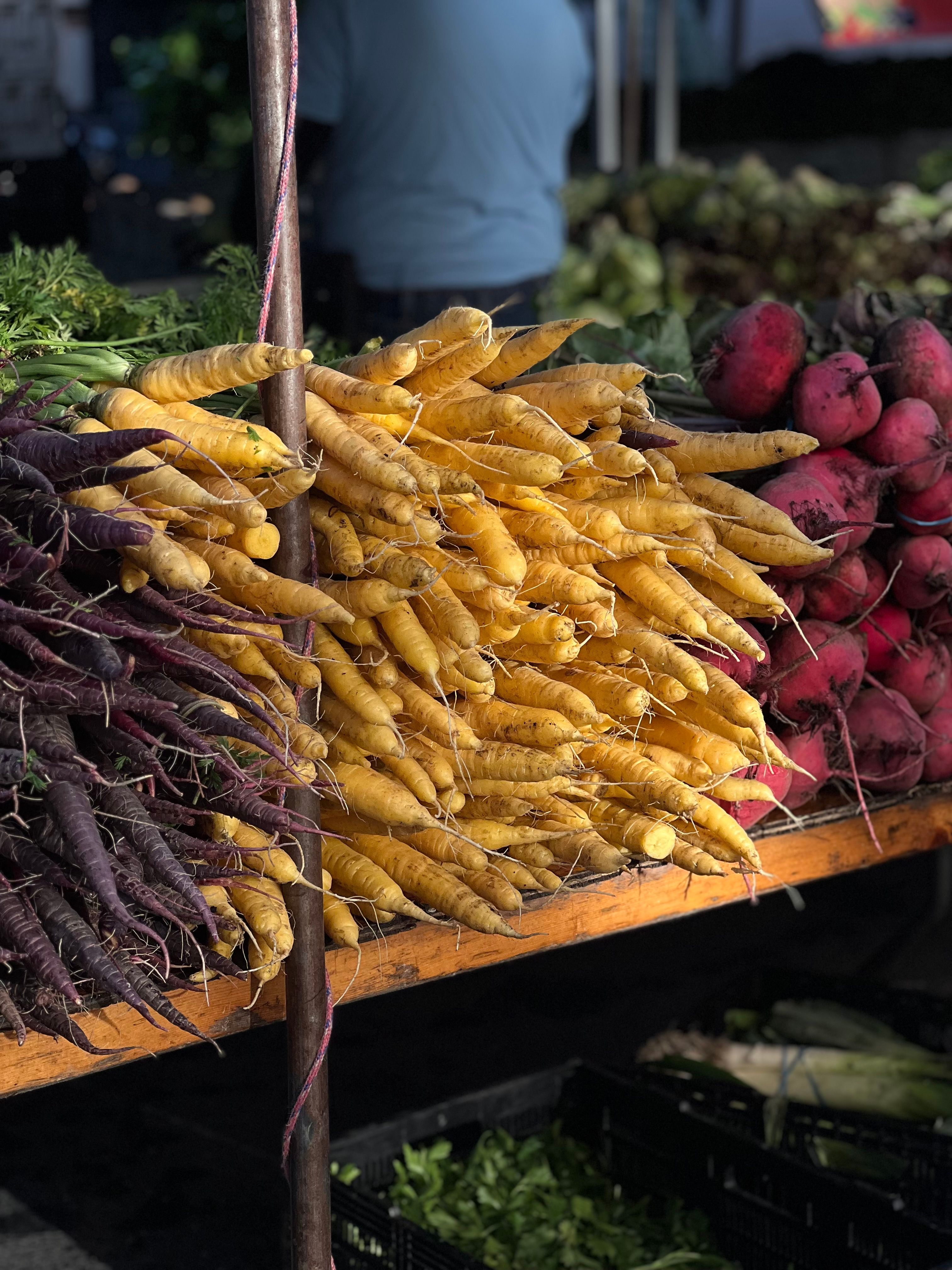 Fresh Colorful Produce at Local Farmers Market · Free Stock Photo