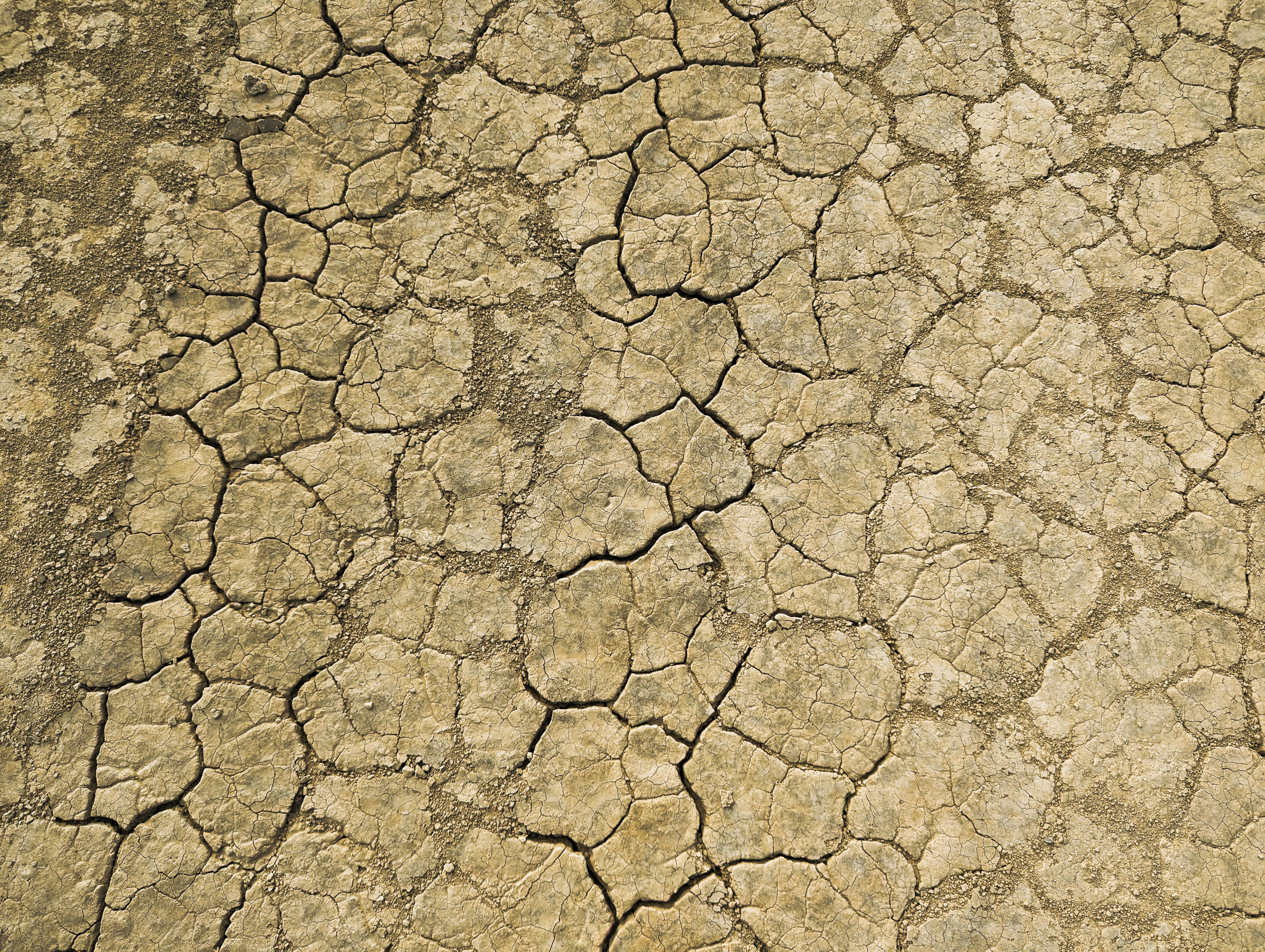 Drevo Soil Texture Photos, Download The BEST Free Drevo Soil Texture ...