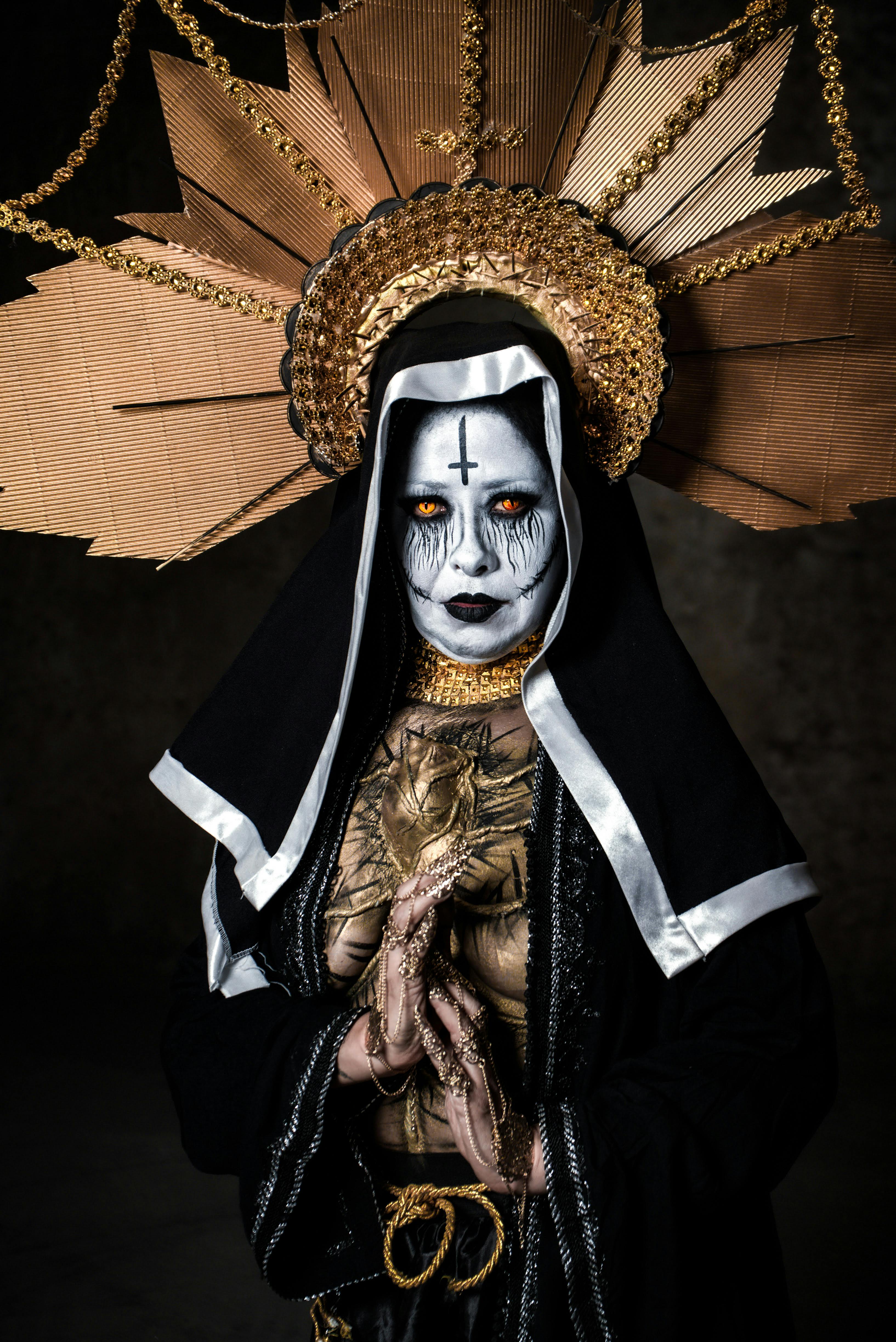 Fantasy Portrait of a Mythical Figure in Elaborate Costume · Free Stock ...